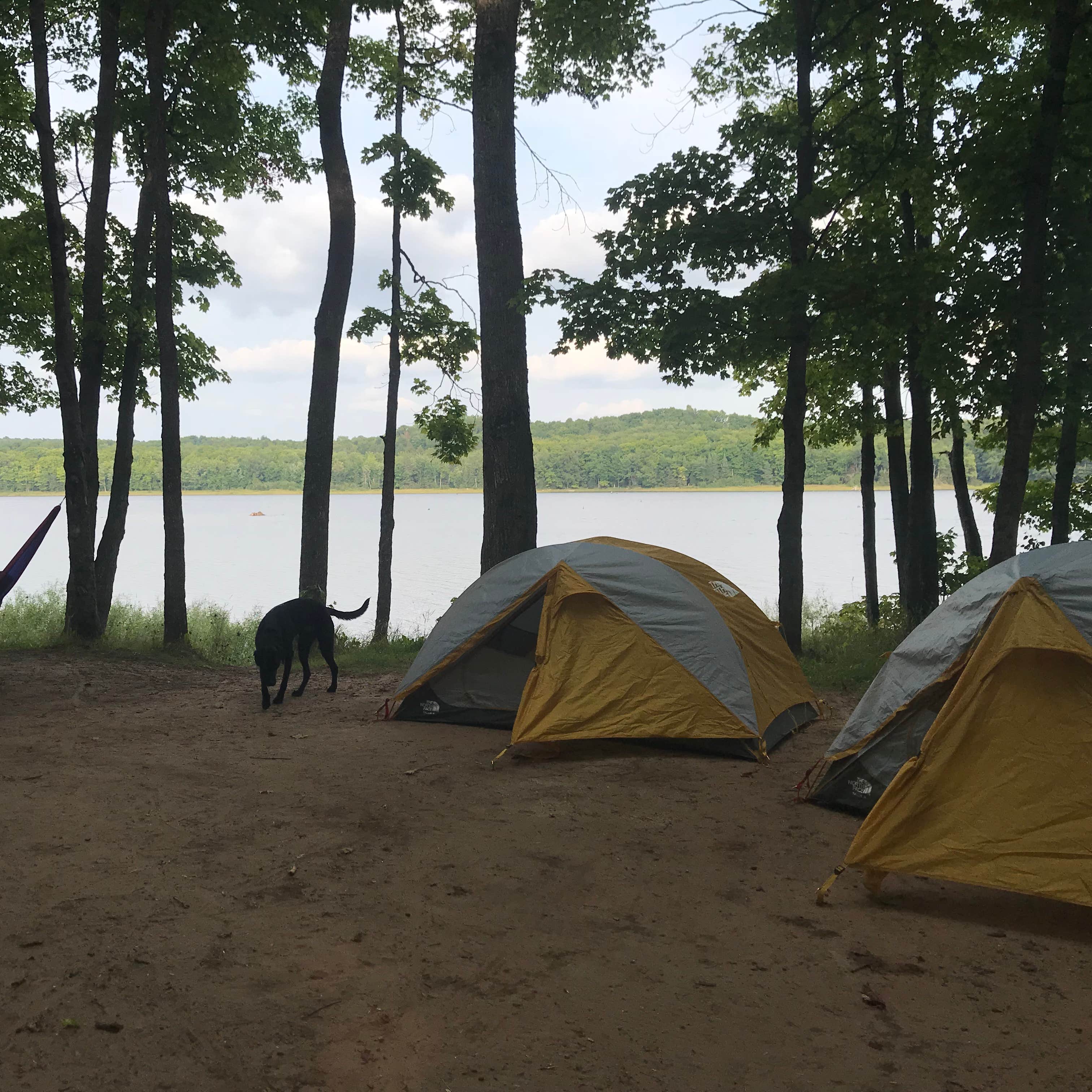 Forest Lake State Forest Campground Camping | The Dyrt
