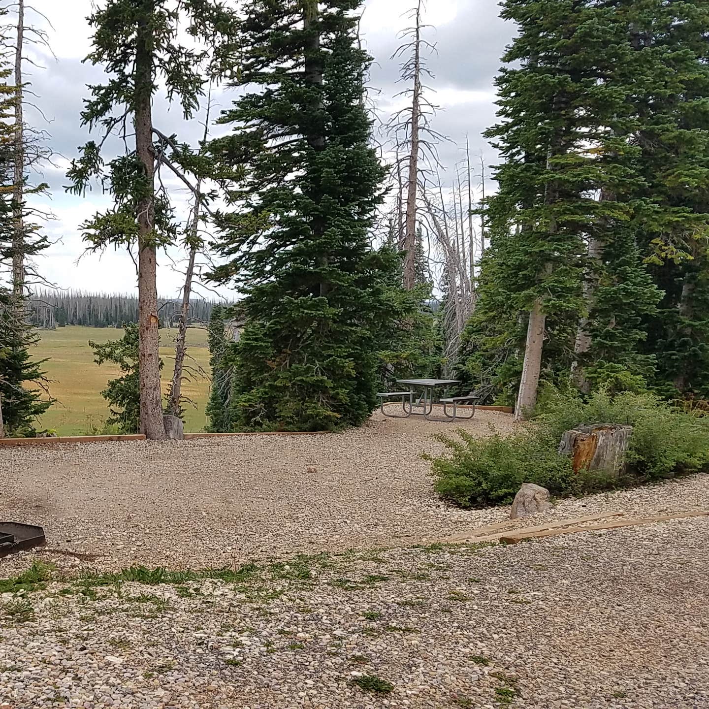 Point Supreme Campground Camping | The Dyrt