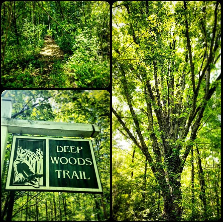 The Villages RV Park at Turning Stone | Oneida, New York