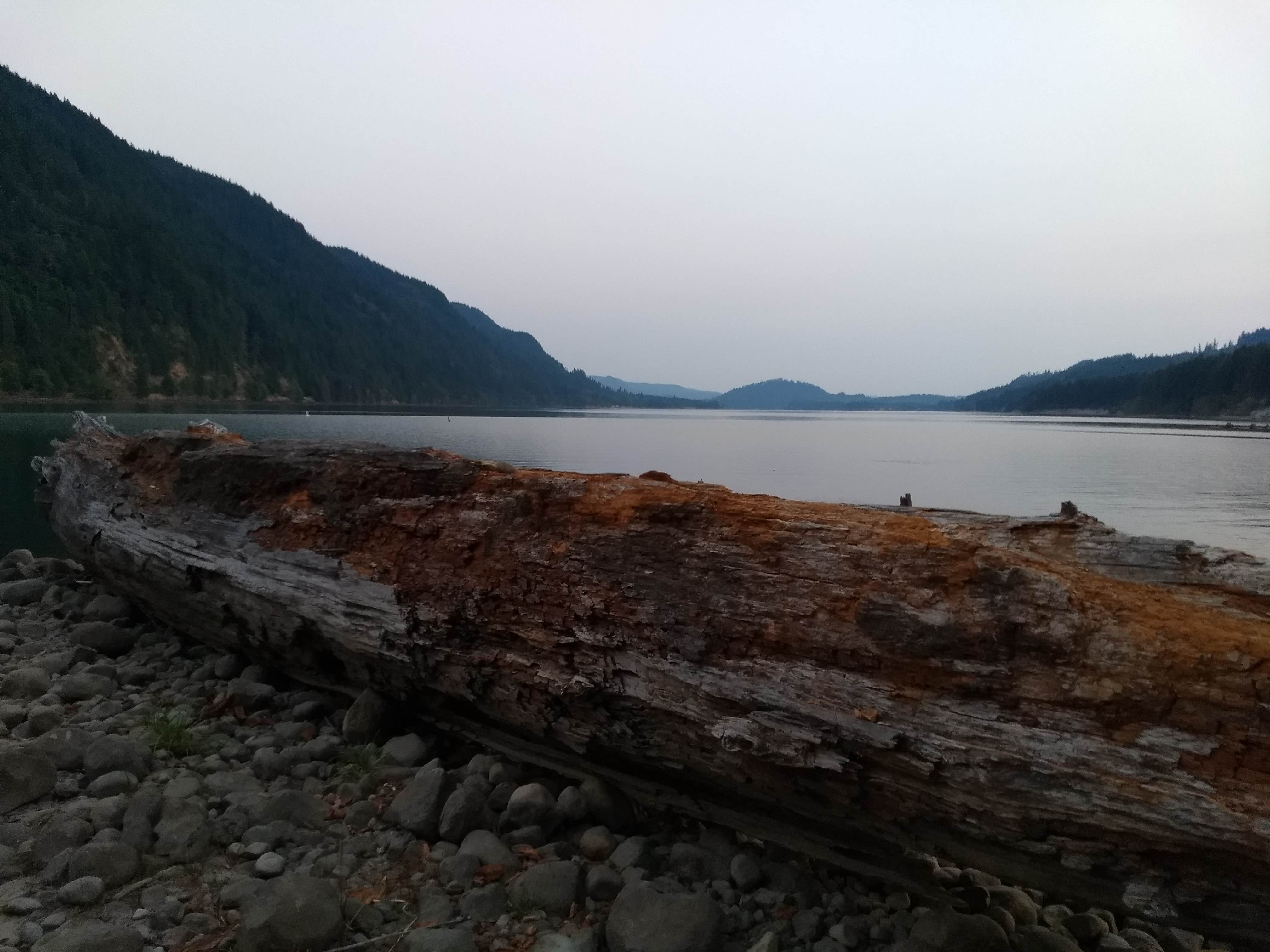 Cougar Park & Campground - Tent Only | Cougar, Washington