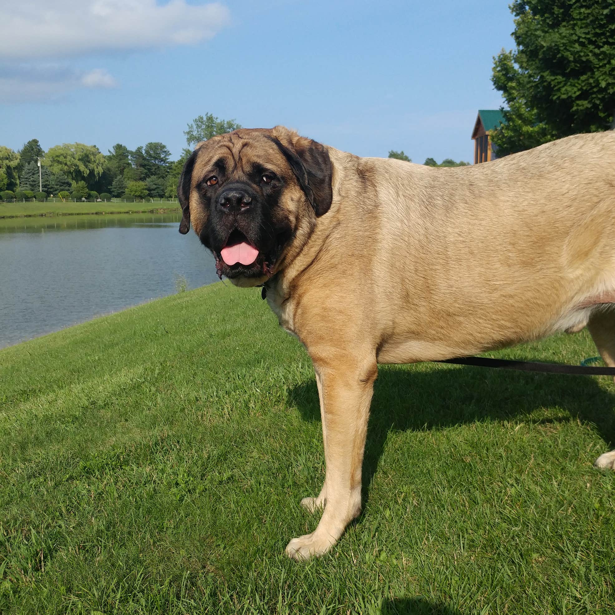 Jellystone Park North Port Huron Camping | Sandusky, Michigan