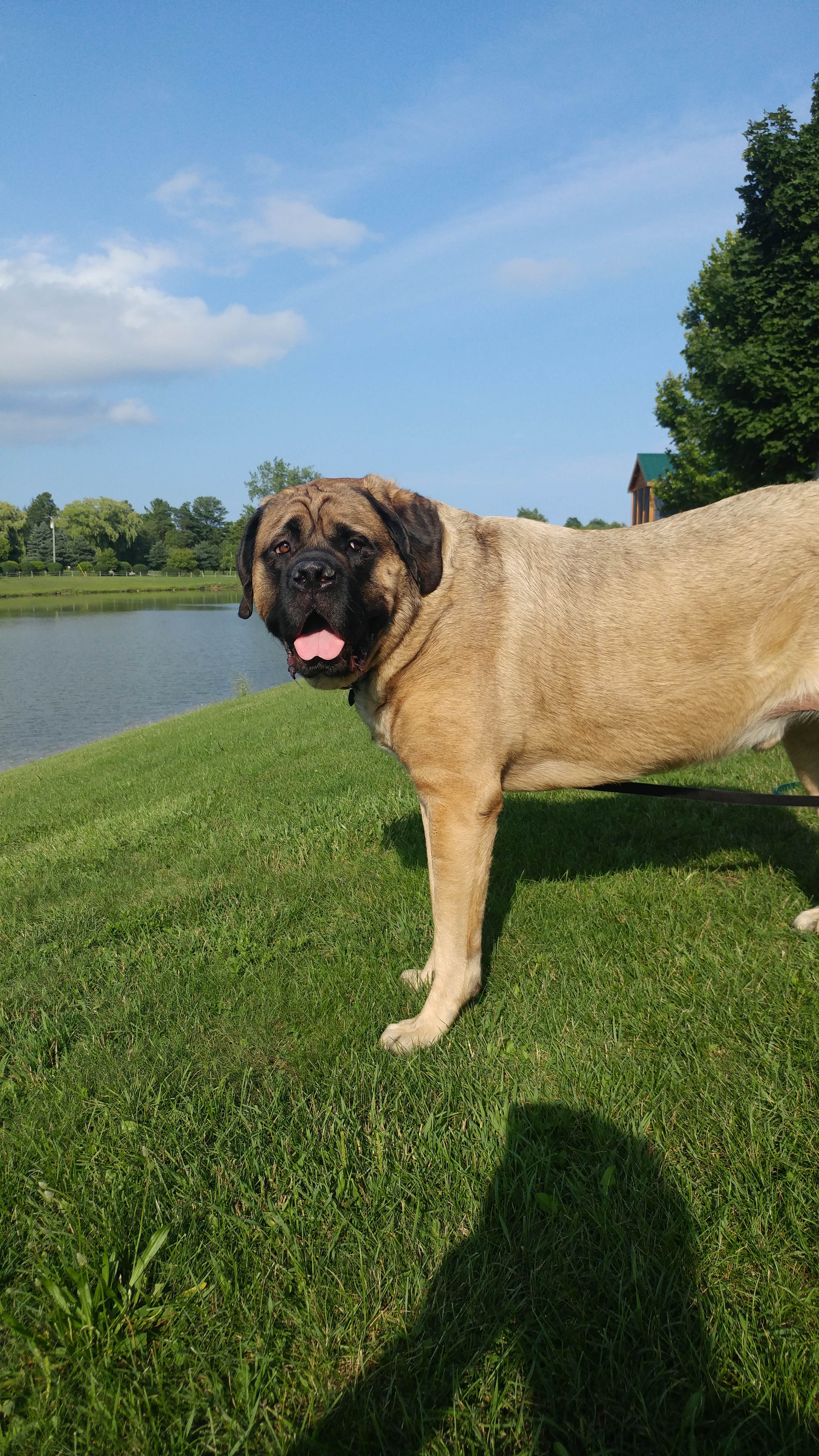 Jellystone Park North Port Huron Camping | Sandusky, Michigan