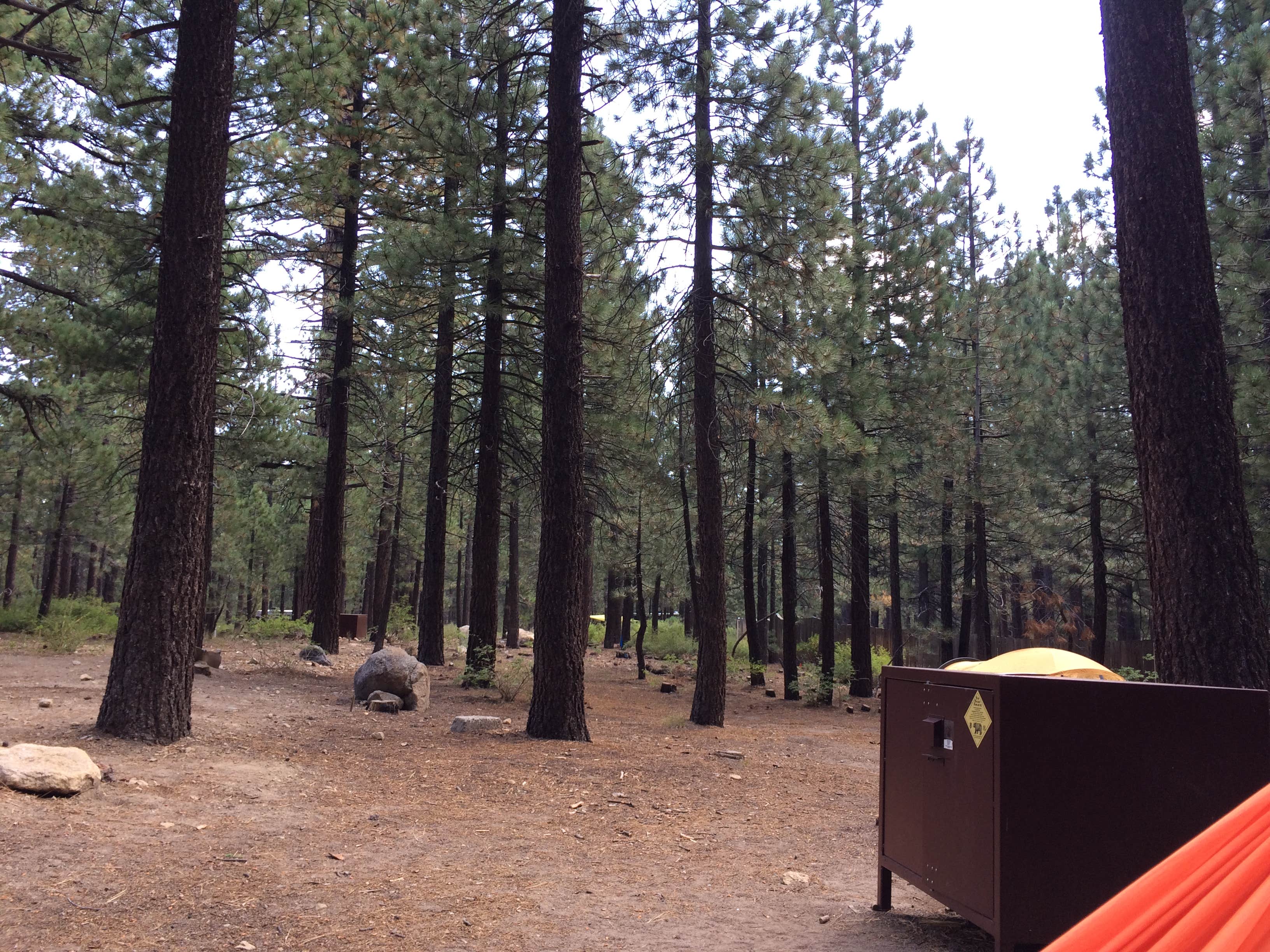 Old Shady Rest Campground | Mammoth Lakes, California