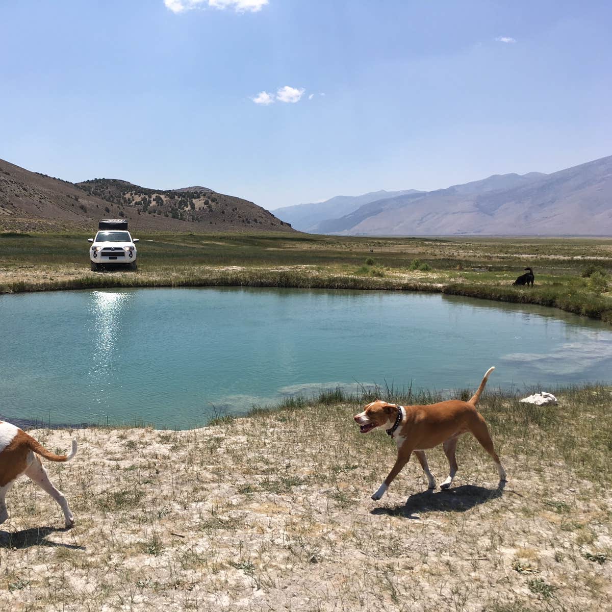 South Ruby Campground Camping | The Dyrt