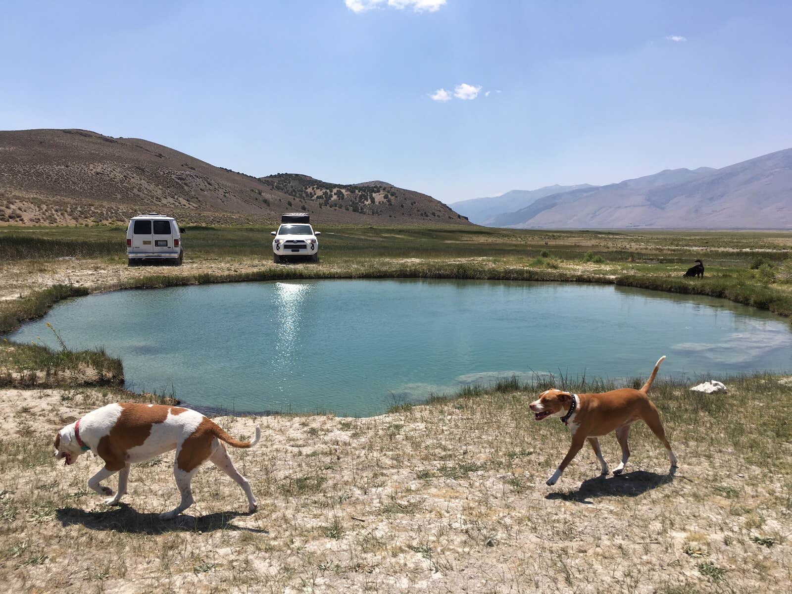 South Ruby Campground | Ruby Valley, Nevada