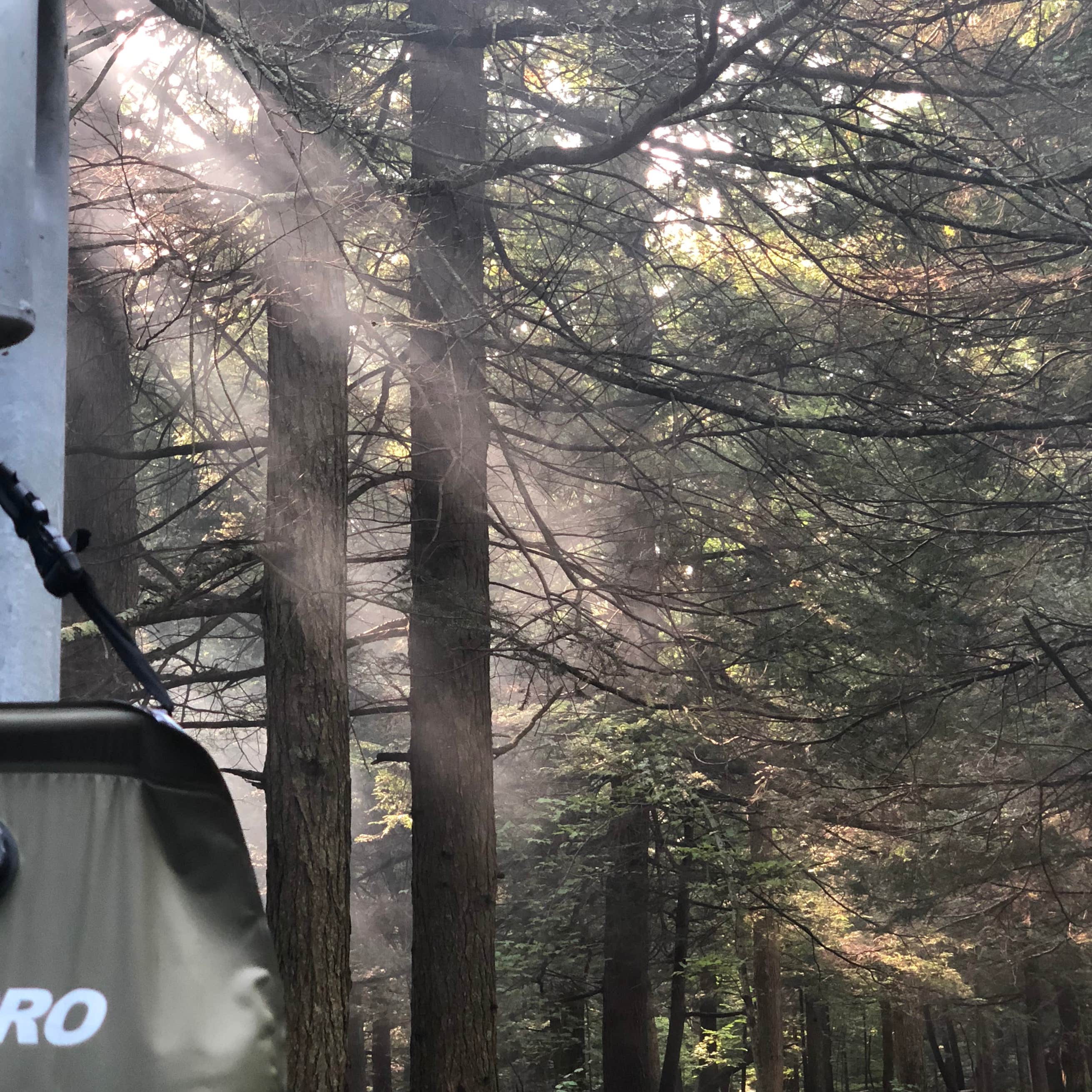 Stokes State Forest Camping | The Dyrt