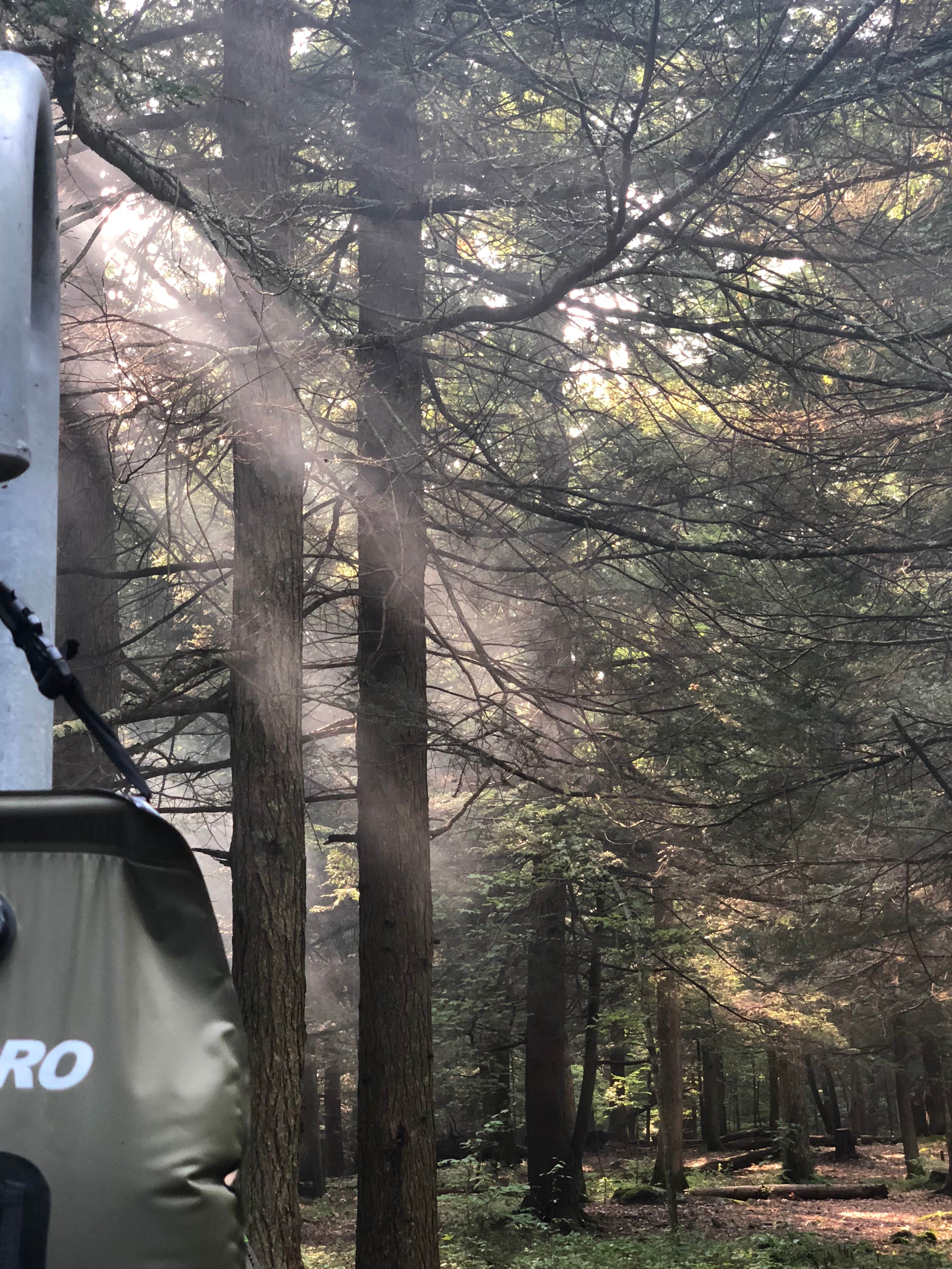 Stokes State Forest Camping | Layton, New Jersey