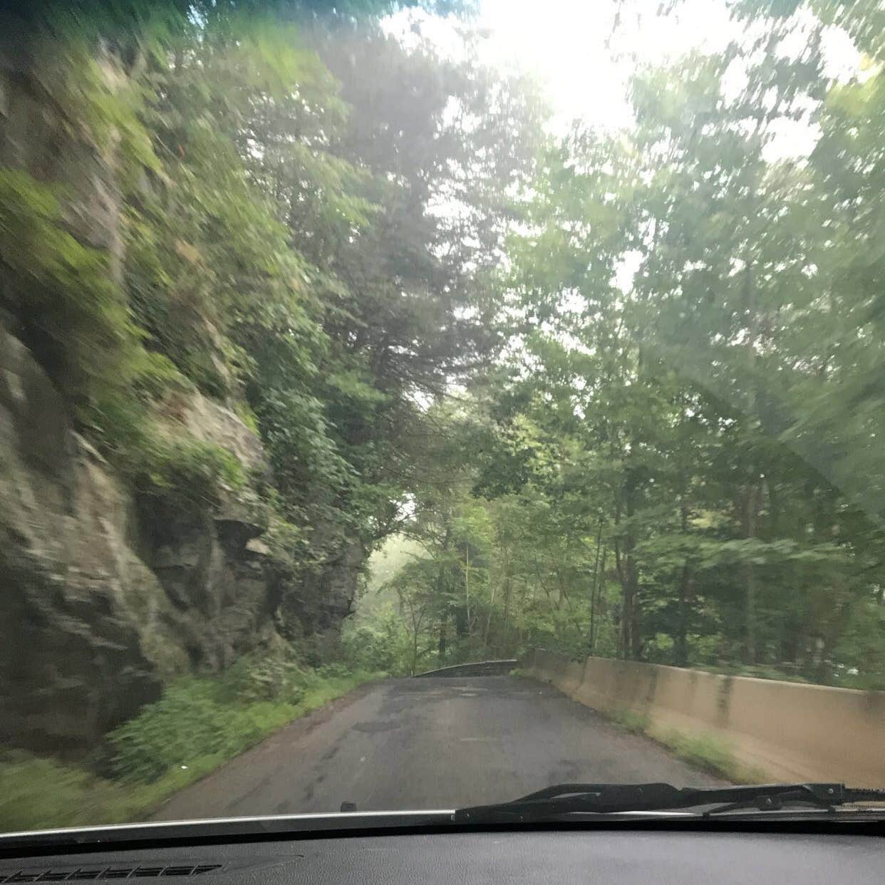 Worthington State Forest Camping | The Dyrt