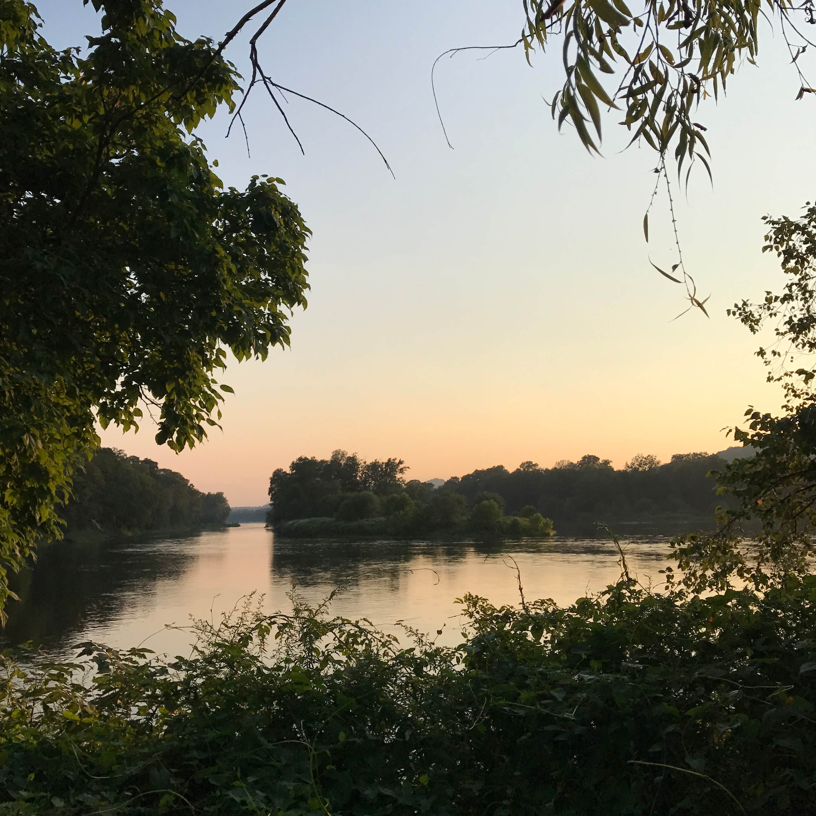 Worthington State Forest Campground Camping | The Dyrt