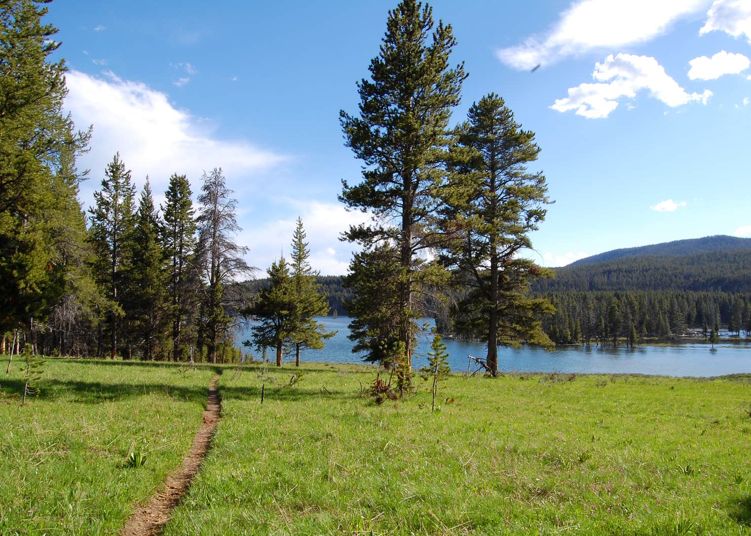 Fishing Bridge RV Park Camping | The Dyrt