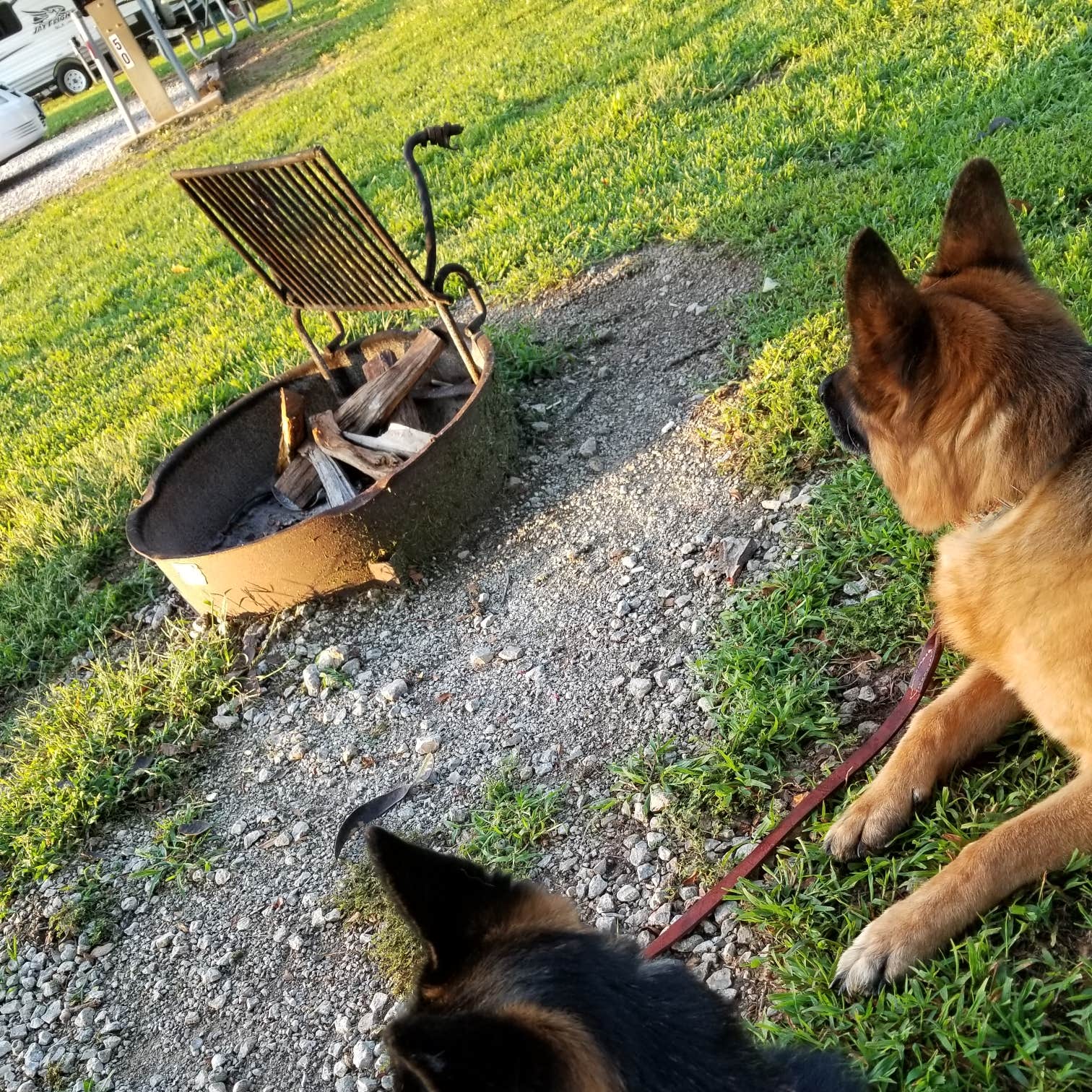 Lake Jacomo - Fleming Park Camping | Lee's Summit, Missouri