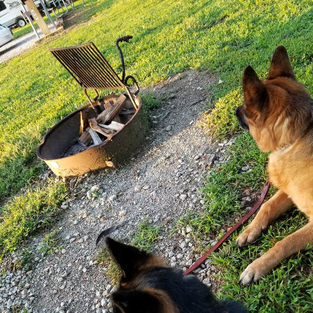 Lake Jacomo - Fleming Park Camping | Lee's Summit, Missouri