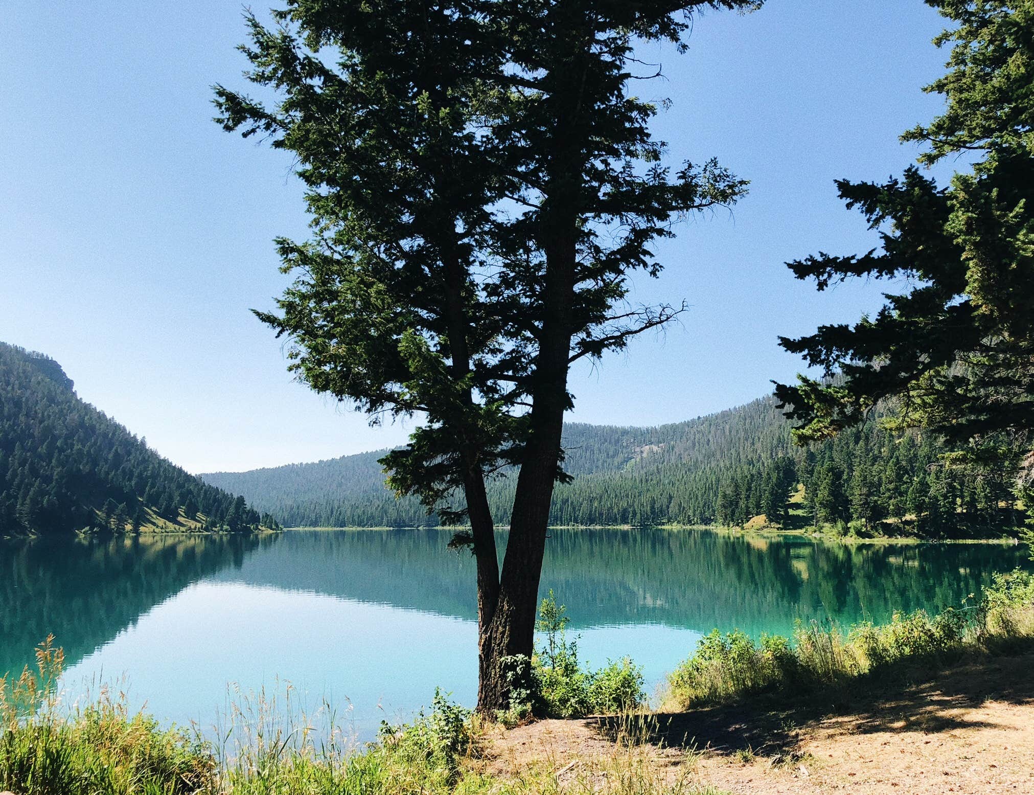 Wade Lake (Mt) — Beaverhead Deerlodge National Forest Camping | Island ...