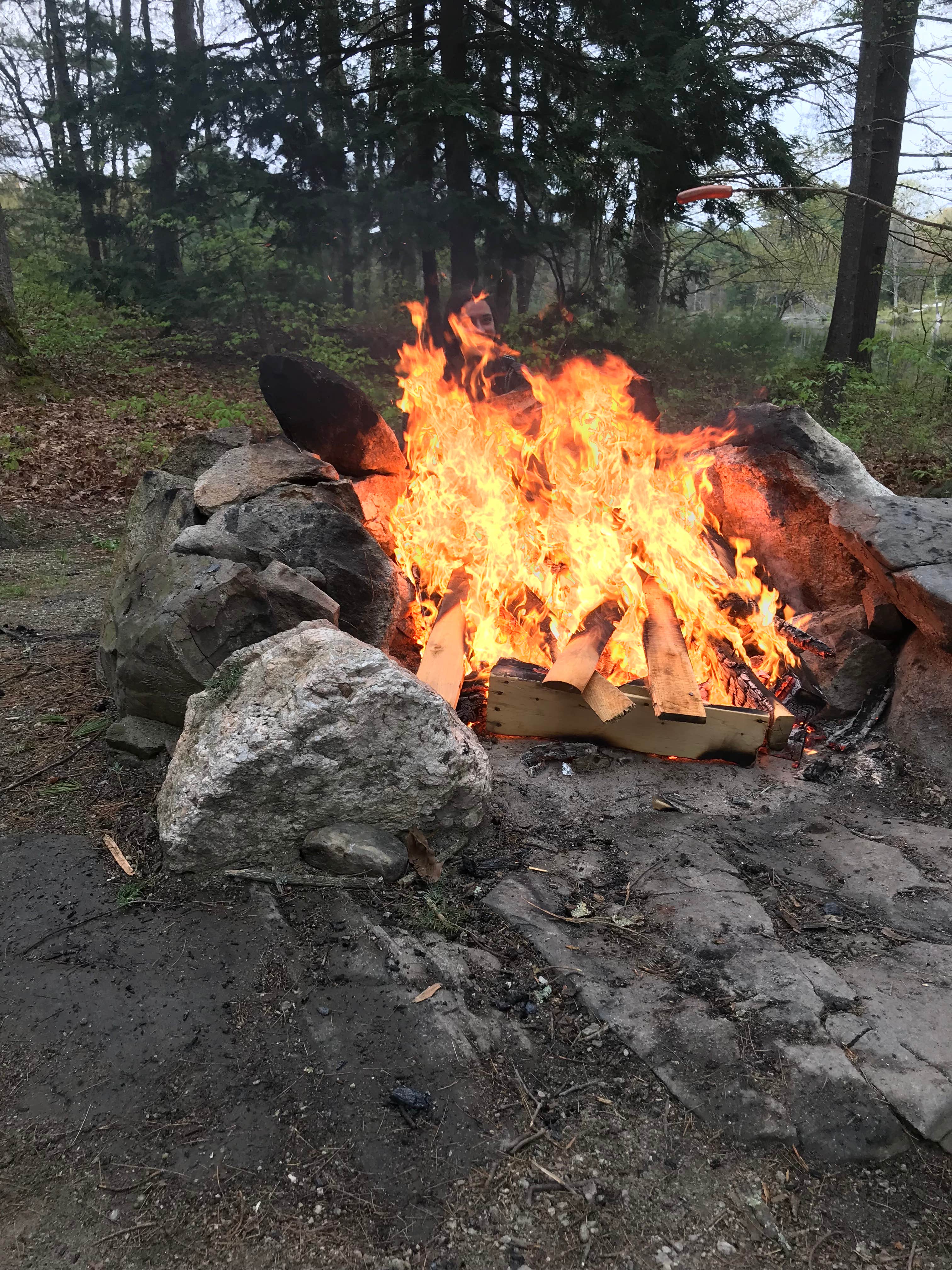 Calef Lake Camping Area | Auburn, NH
