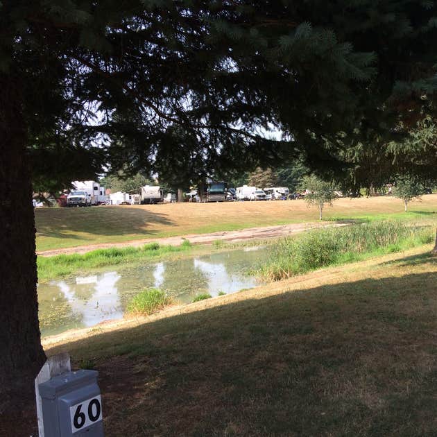 Maple Grove RV Resort (Randle) - KM Resorts | Randle, Washington