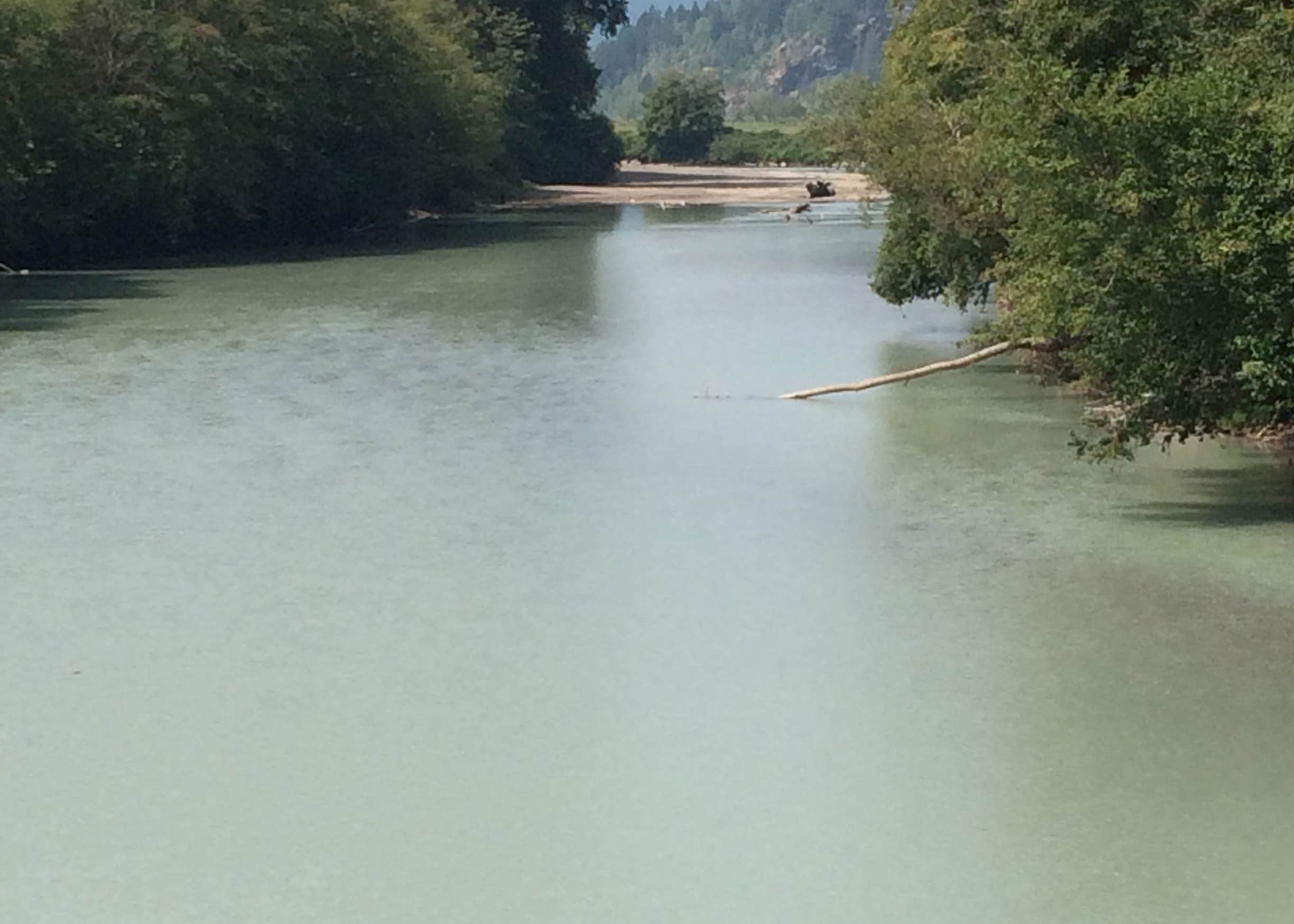 Maple Grove RV Resort (Randle) Camping | The Dyrt