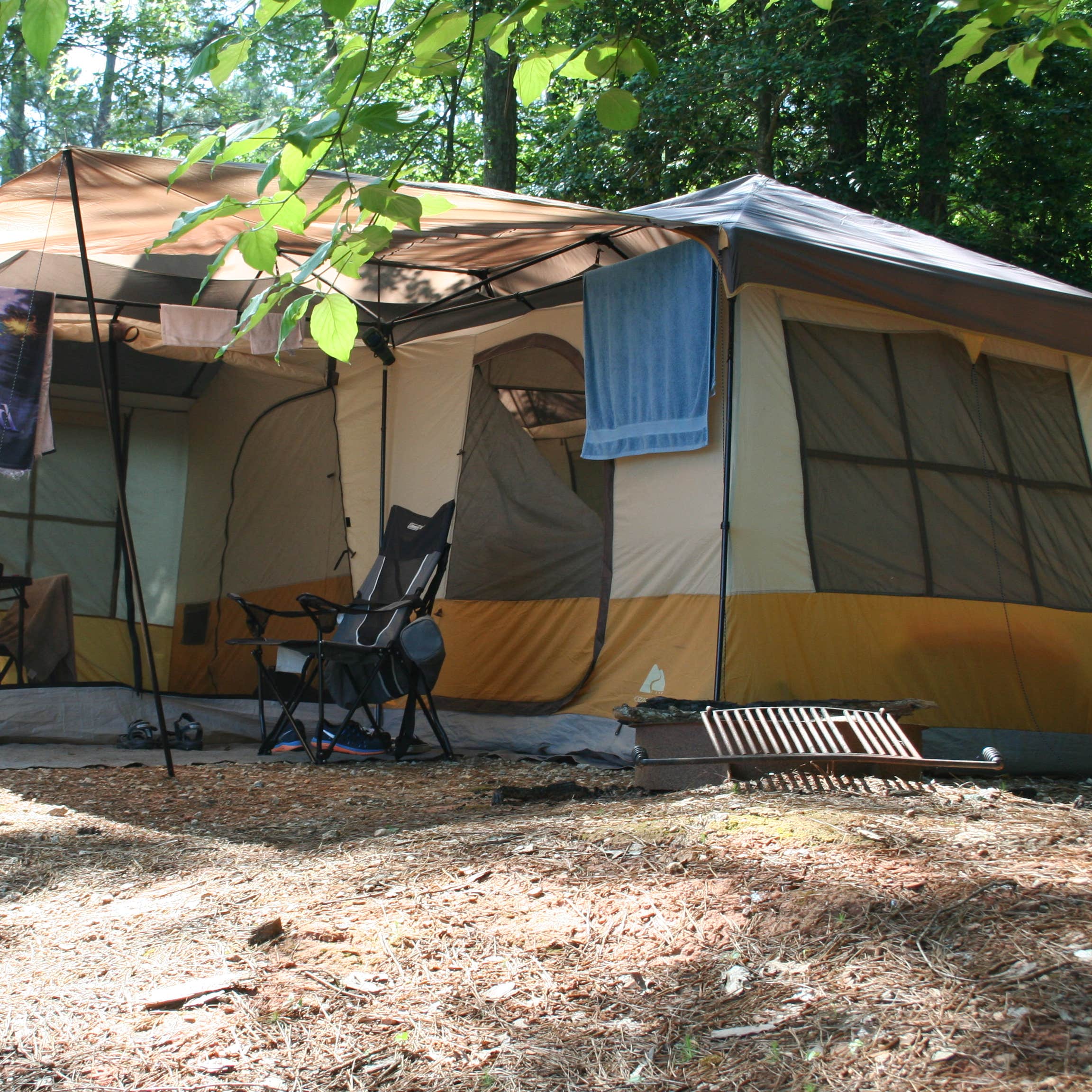 Hamilton Branch State Park Camping | The Dyrt