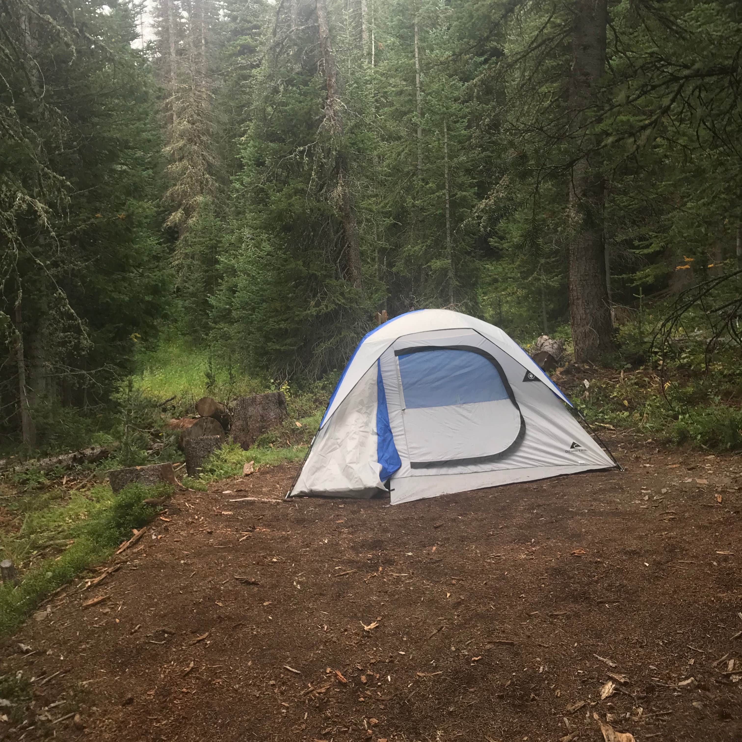 The Crags Campground Camping | The Dyrt