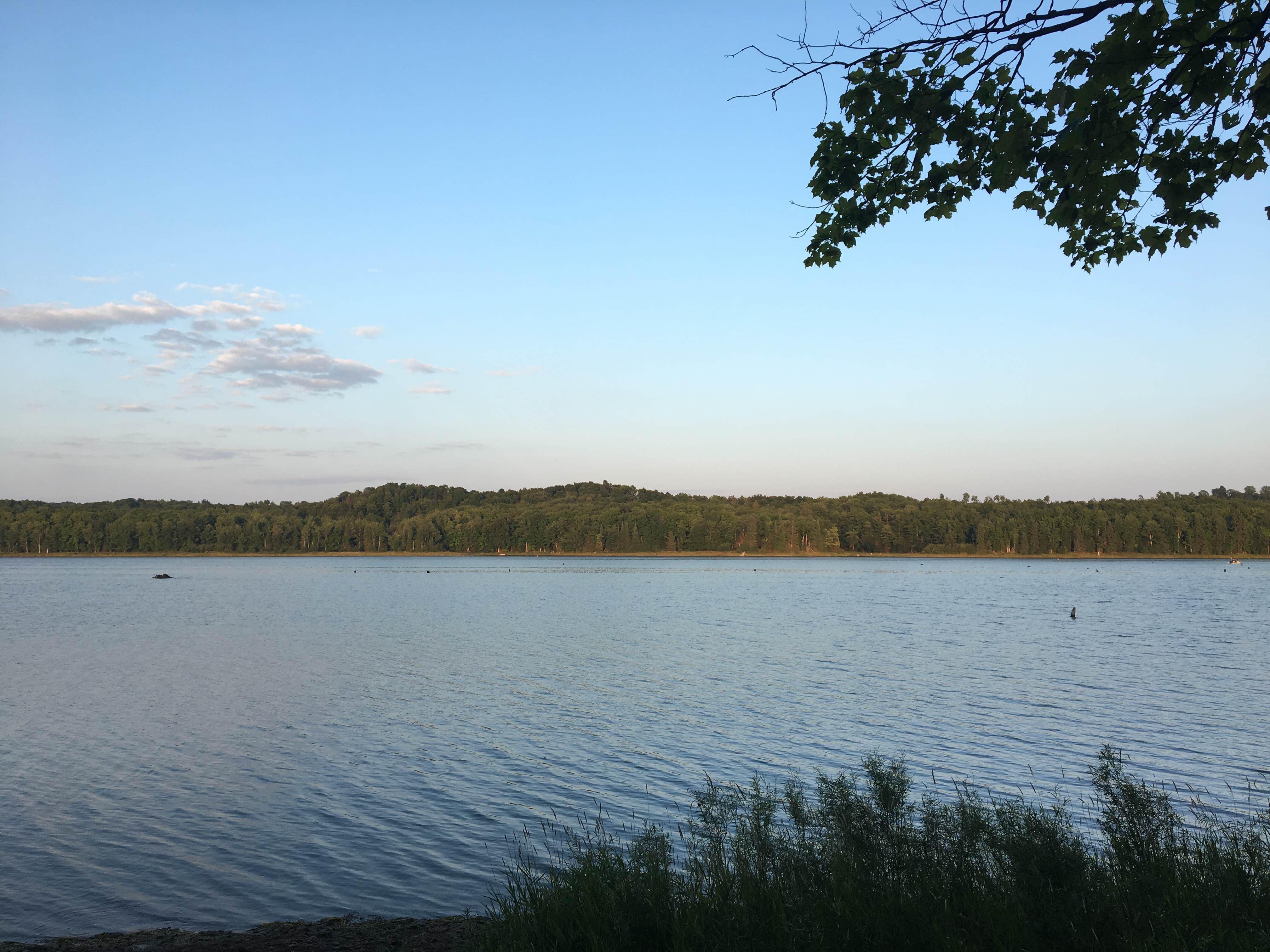 Forest Lake State Forest Campground | The Dyrt