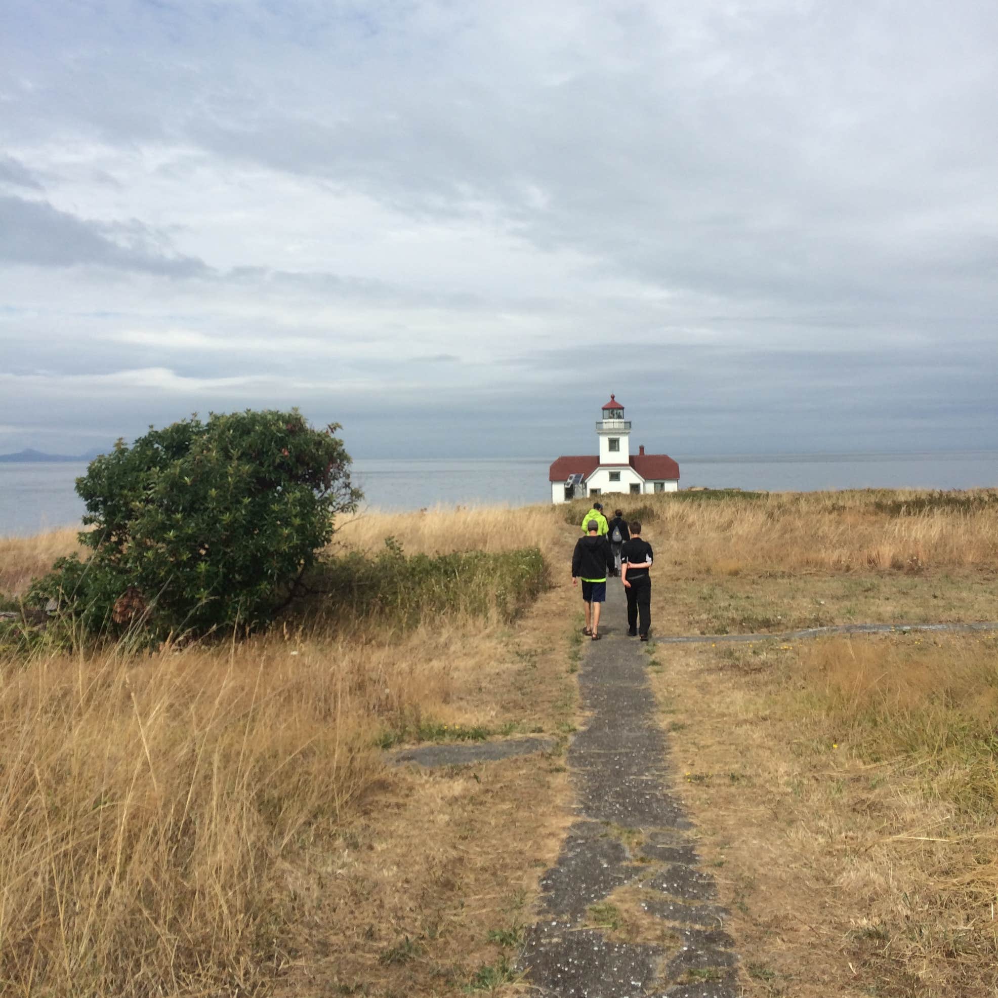 Patos Island Marine State Park Camping | The Dyrt