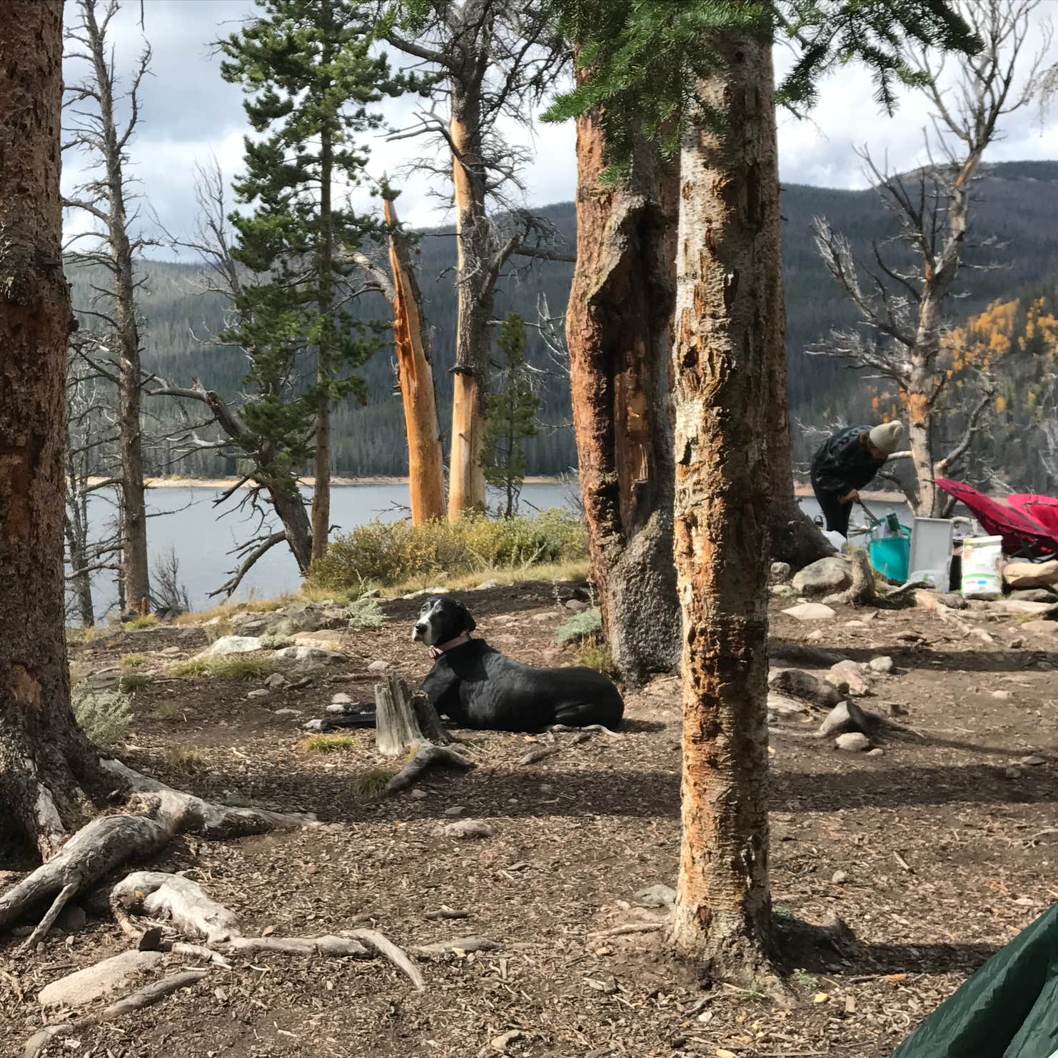 Chambers Lake Campground Camping | The Dyrt