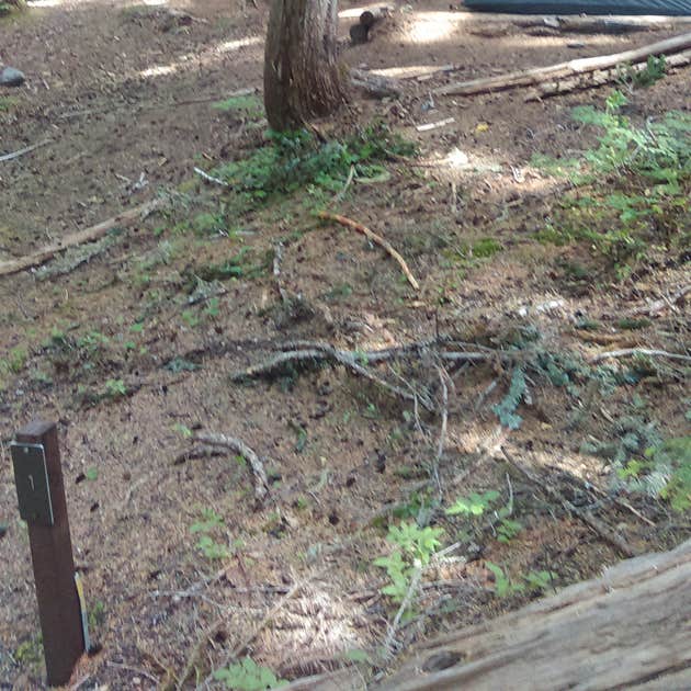 Fire Creek Camp — Mount Rainier National Park | Mount Rainier National ...