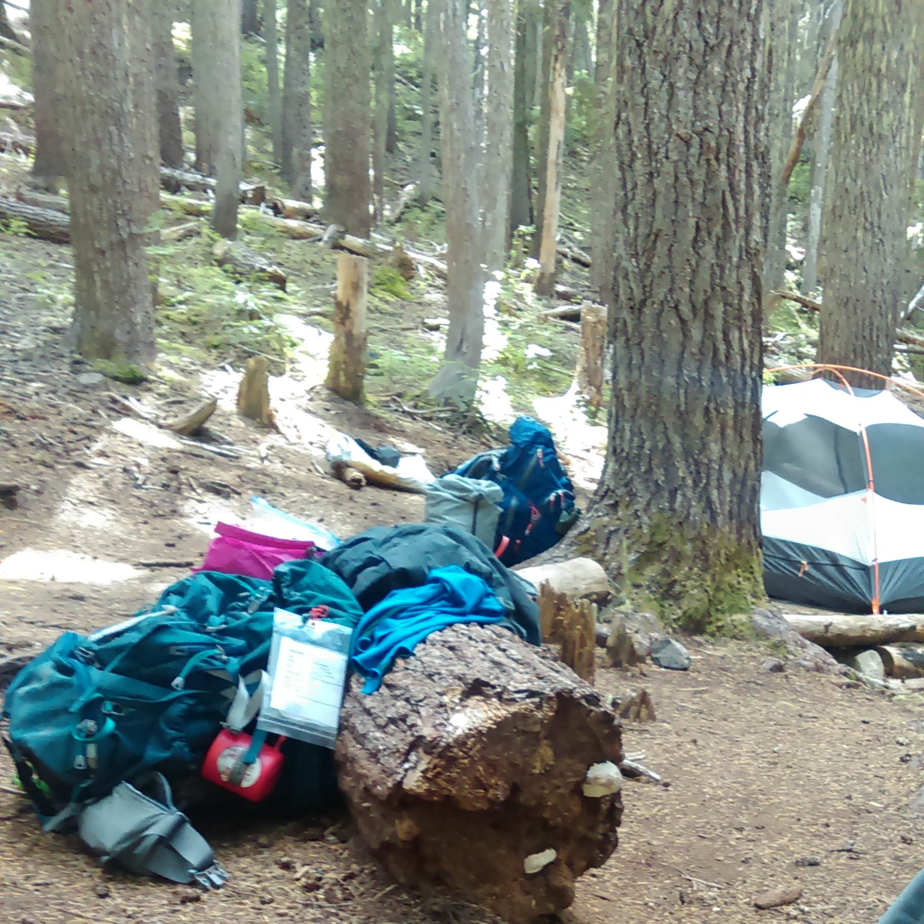 Fire Creek Camp Camping | The Dyrt