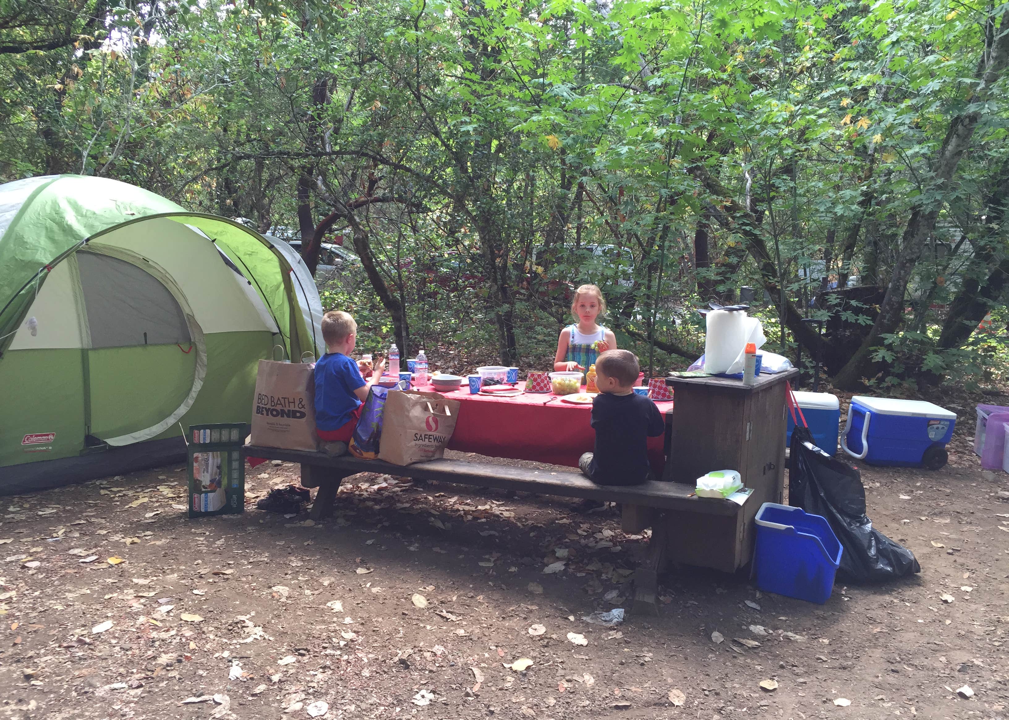 Bothe-Napa Valley State Park Camping | The Dyrt