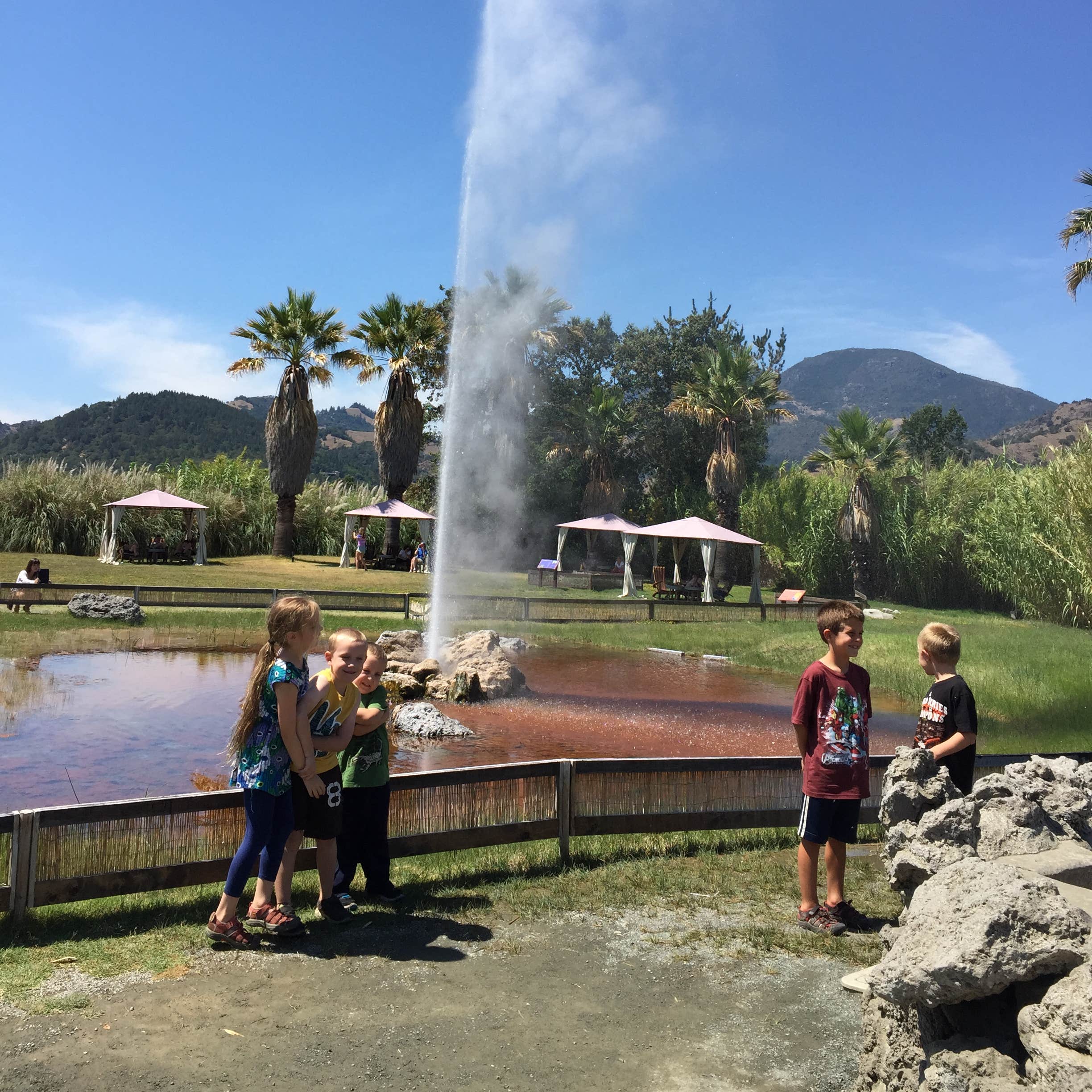 Bothe-Napa Valley State Park Camping | The Dyrt