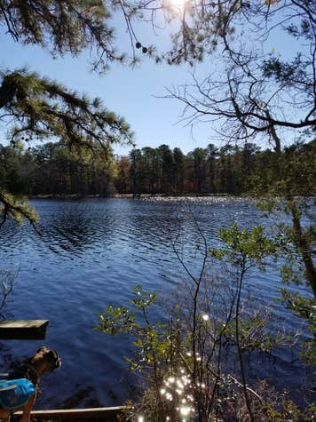 Belleplain | The Dyrt