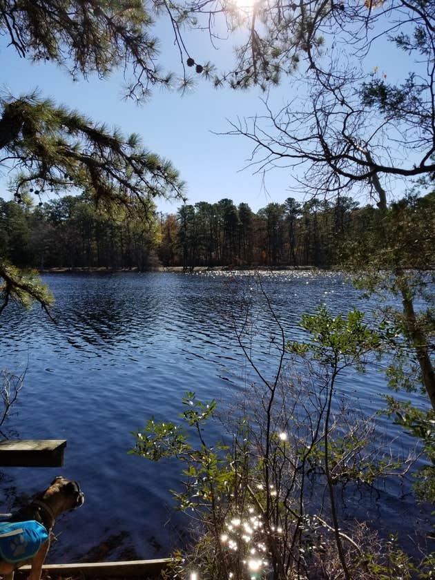 Belleplain | The Dyrt