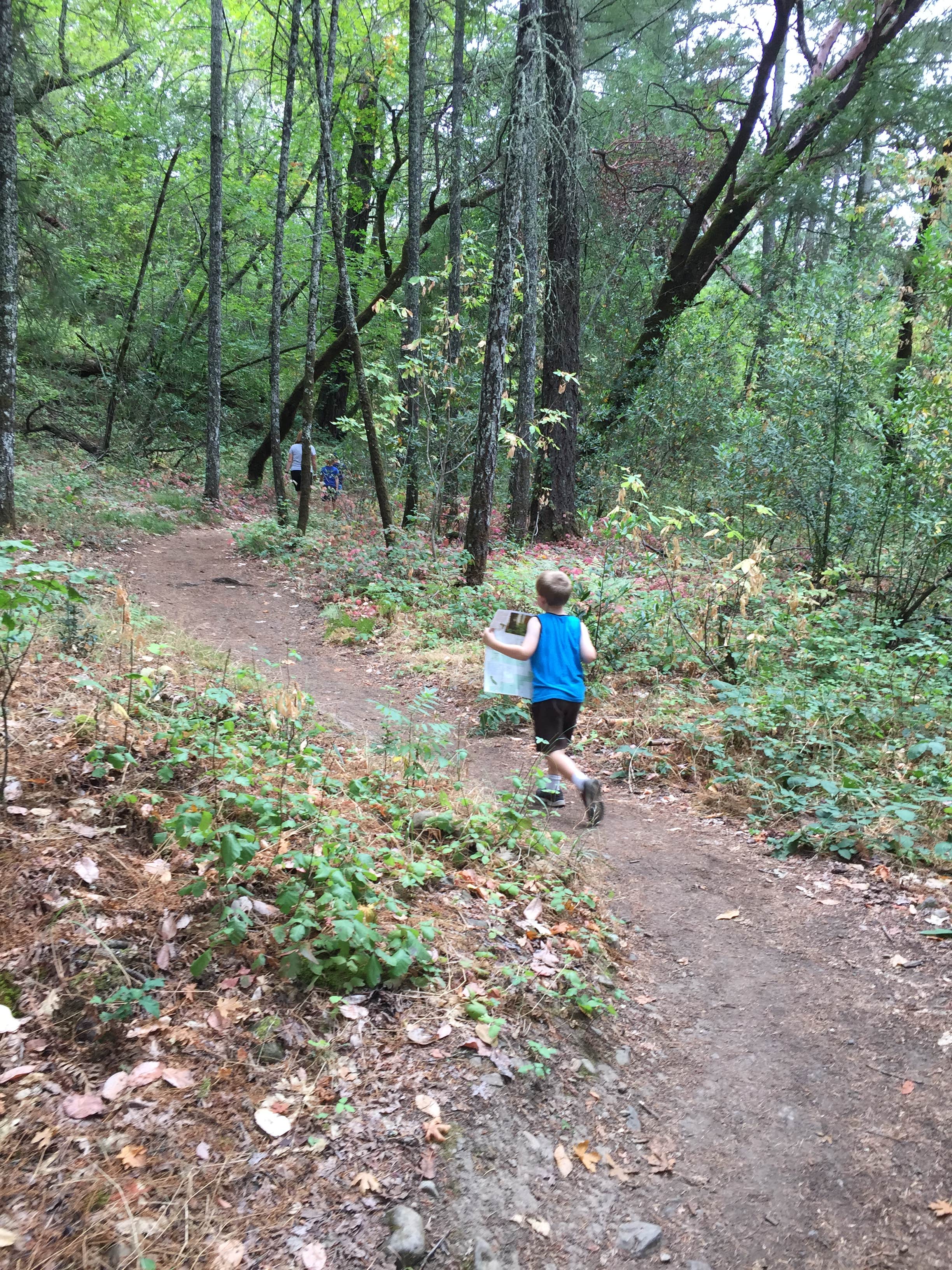 Ritchey Creek Campground — Bothe-Napa Valley State Park | Calistoga, CA