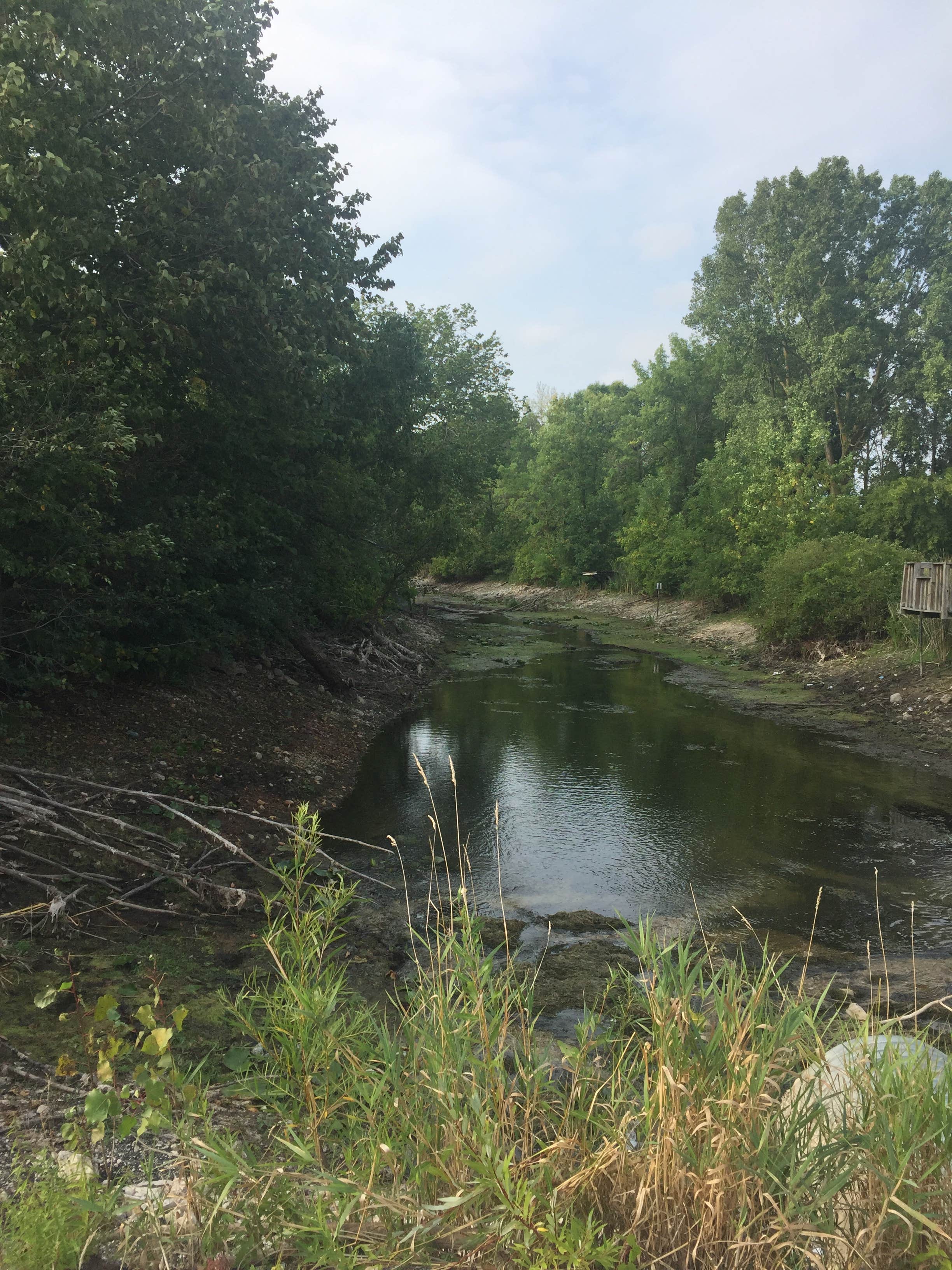 Broughton Sheboygan Marsh Park Campground | Elkhart Lake, Wisconsin