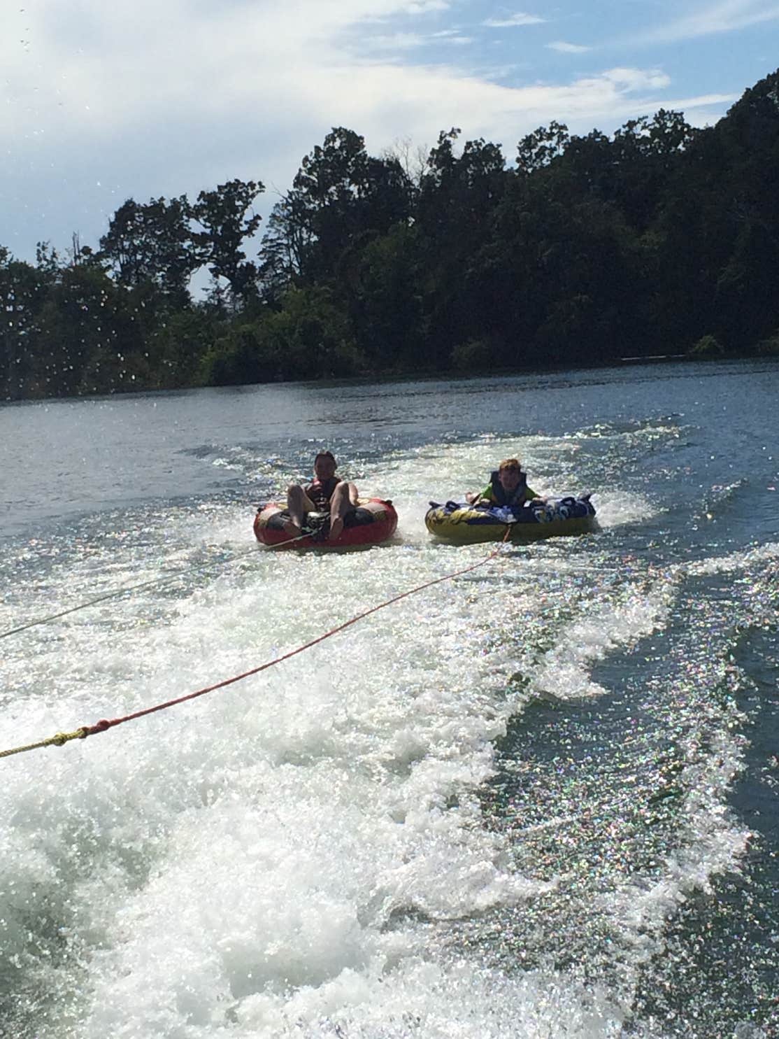 Robinson Point Camping | The Dyrt