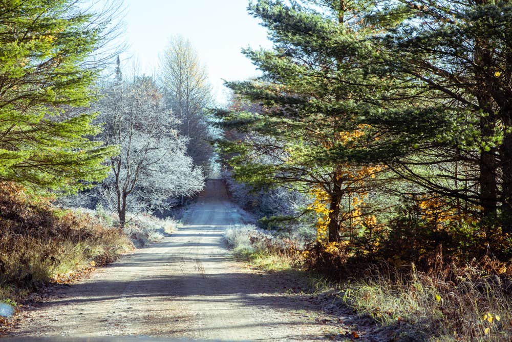 Au Train Lake Campground | Au Train, Michigan