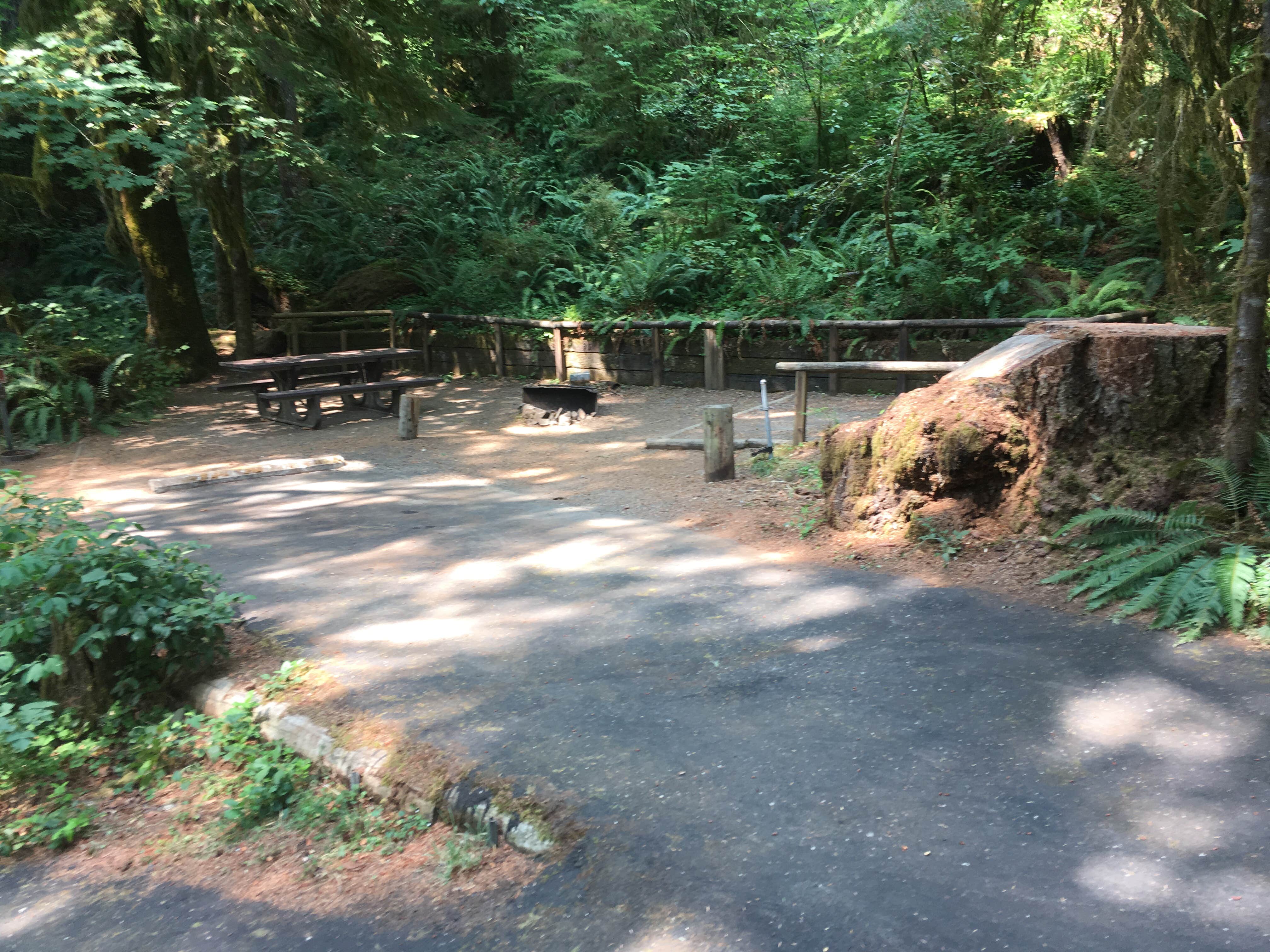 Old Miners Meadow Group Use Camping | Salem, OR