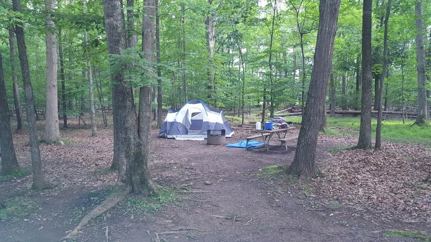 Bull Run Regional Park Camping | The Dyrt