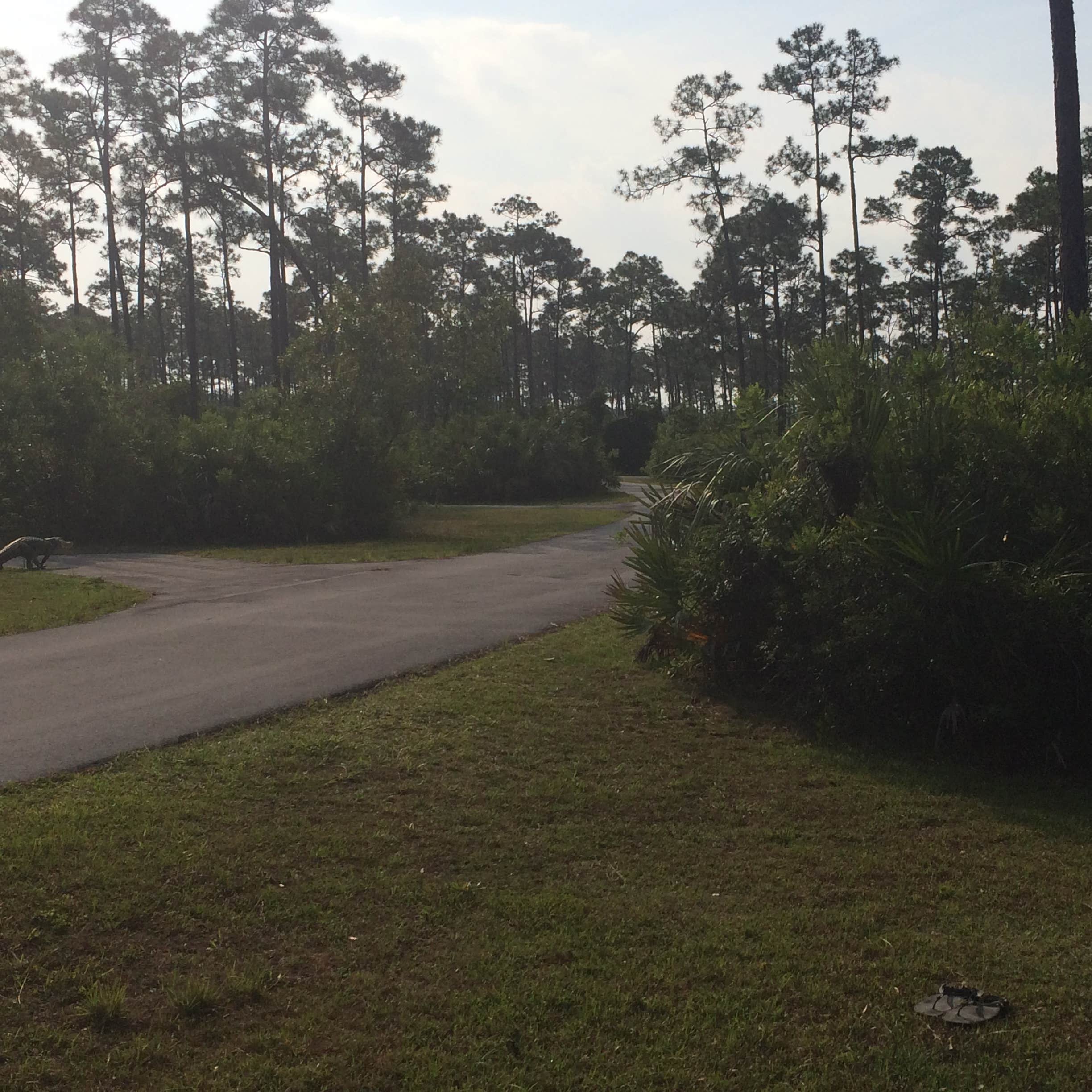 Long Pine Key Campground Camping | The Dyrt