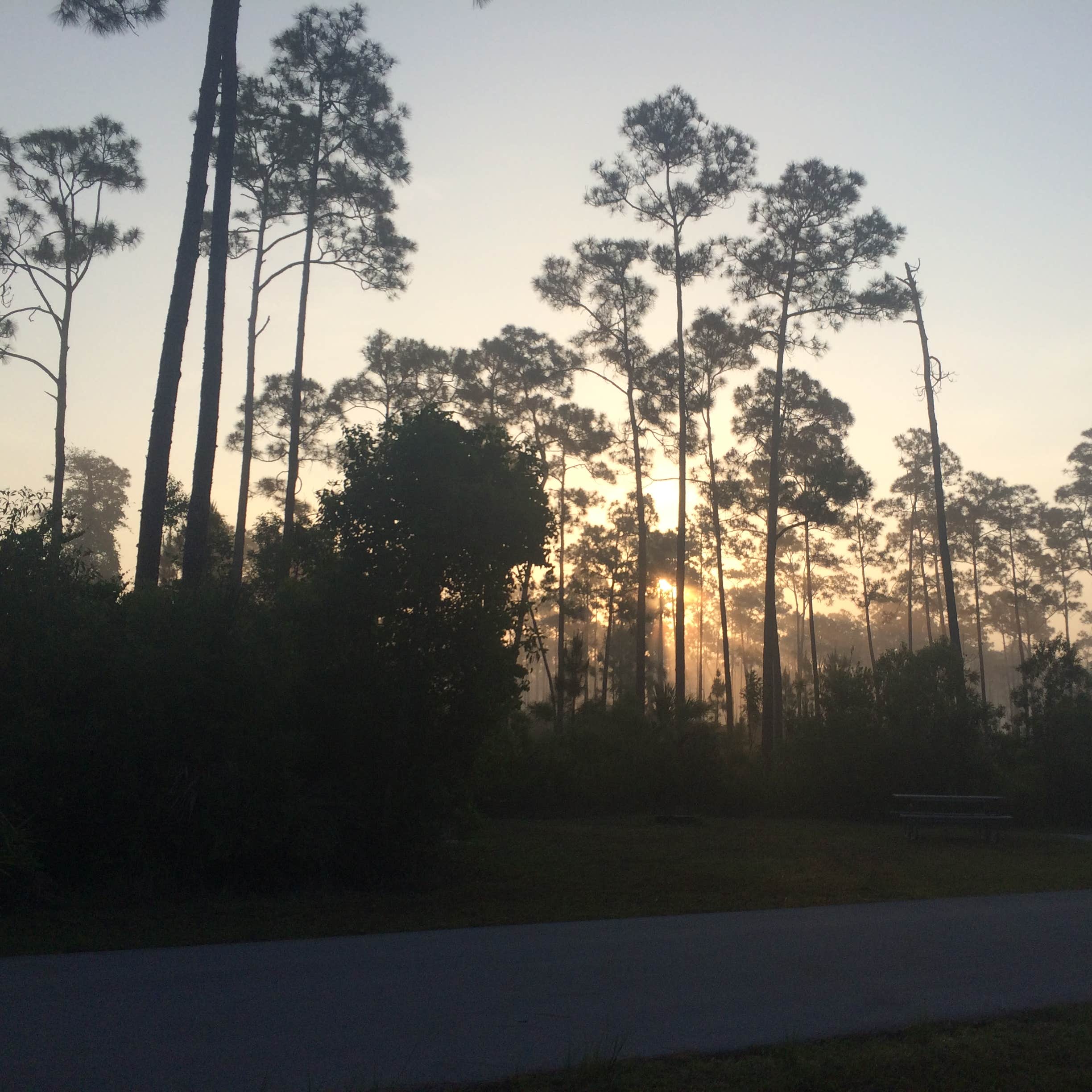 Long Pine Key Campground Camping | The Dyrt