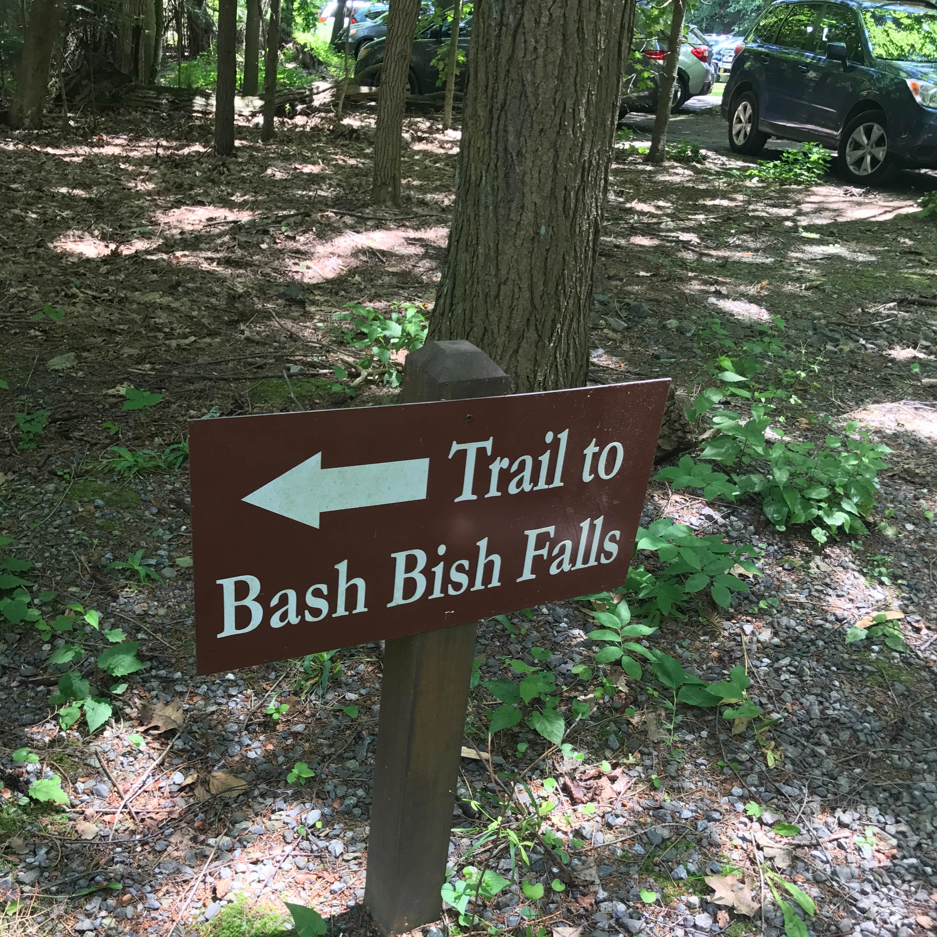 Rudd Pond - Taconic State Park Camping | The Dyrt