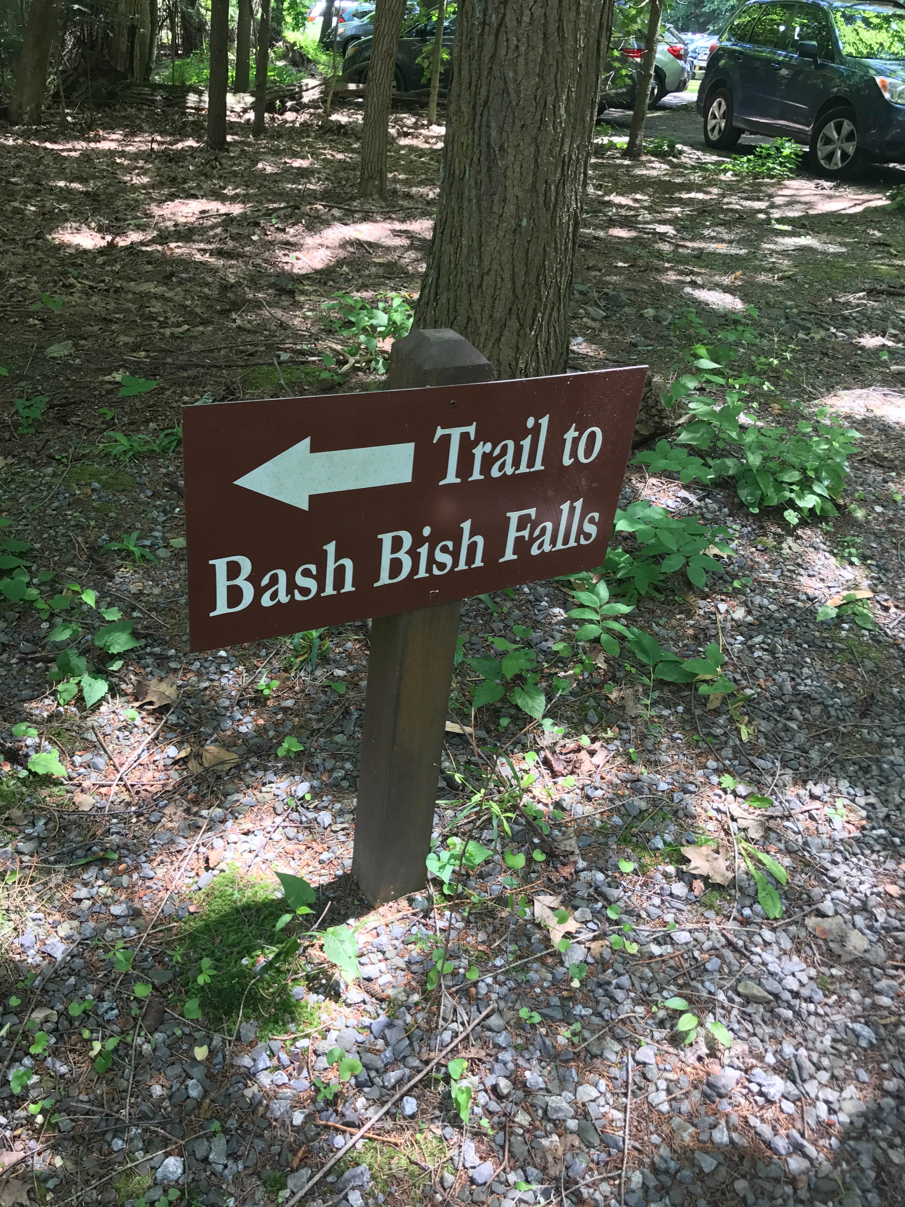 Rudd Pond Area — Taconic State Park Camping | Millerton, New York