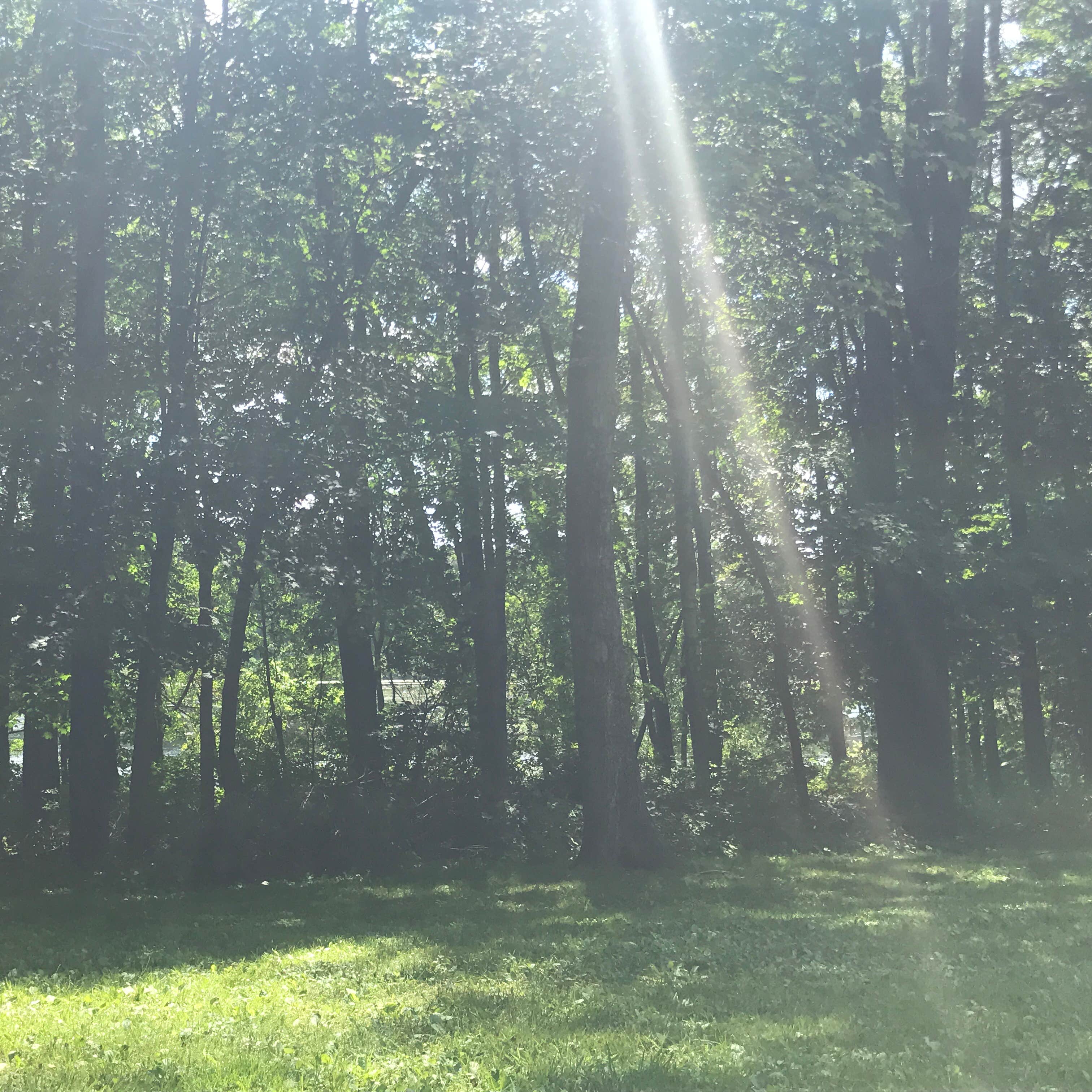 Rudd Pond Area — Taconic State Park Camping | Millerton, New York