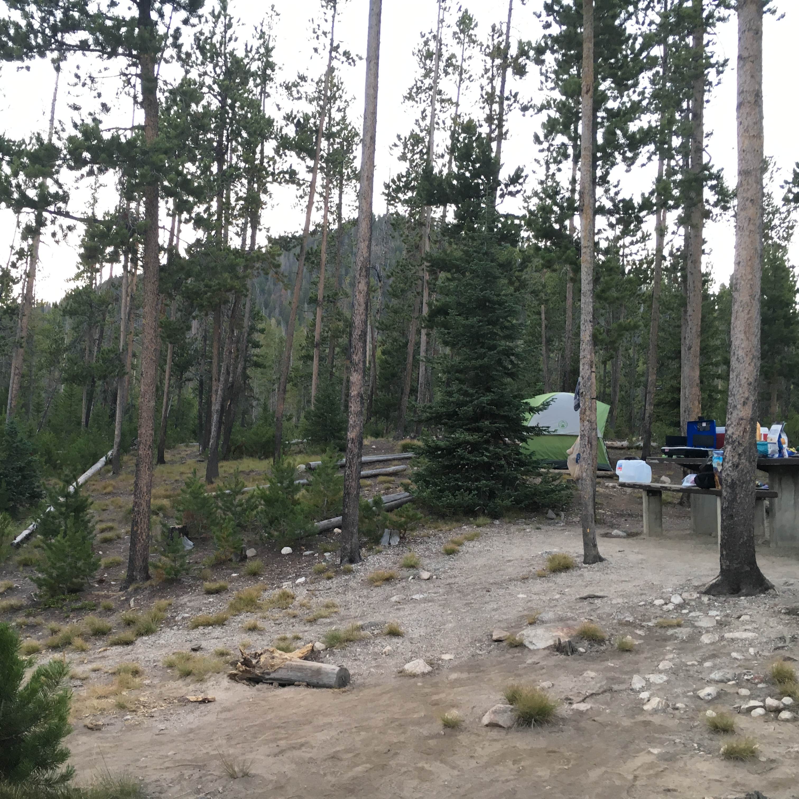 Stanley Lake Campground Camping | The Dyrt