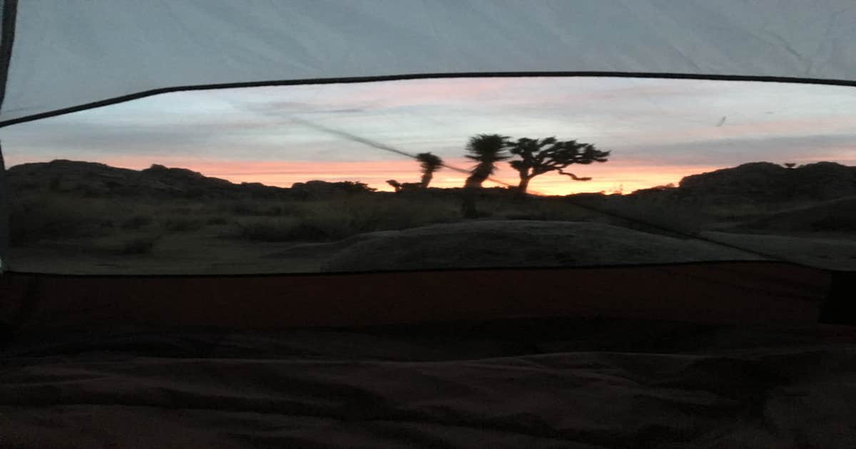 Boy Scout Trail Backcountry Sites — Joshua Tree National Park Camping ...
