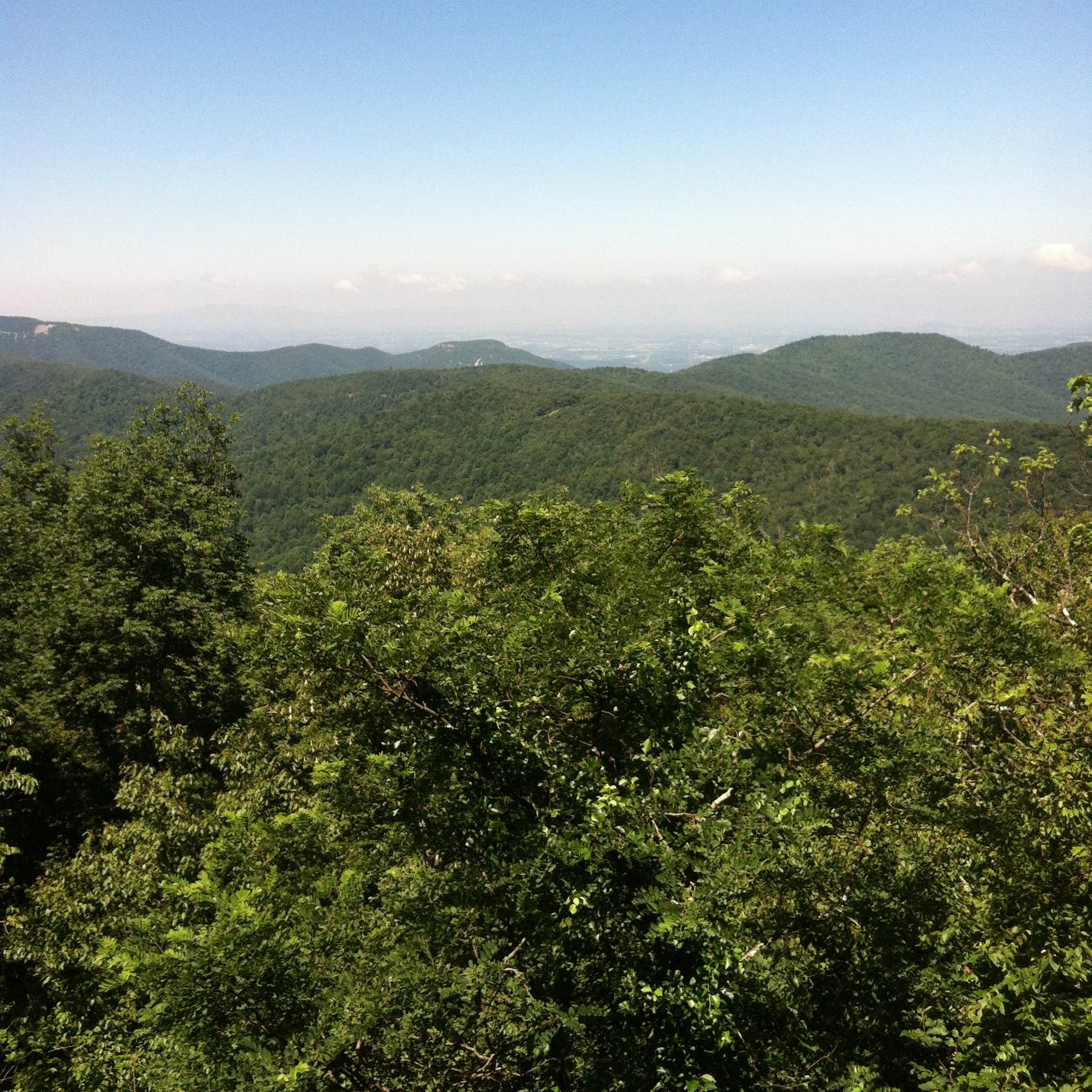 Mathews Arm Campground Camping | The Dyrt