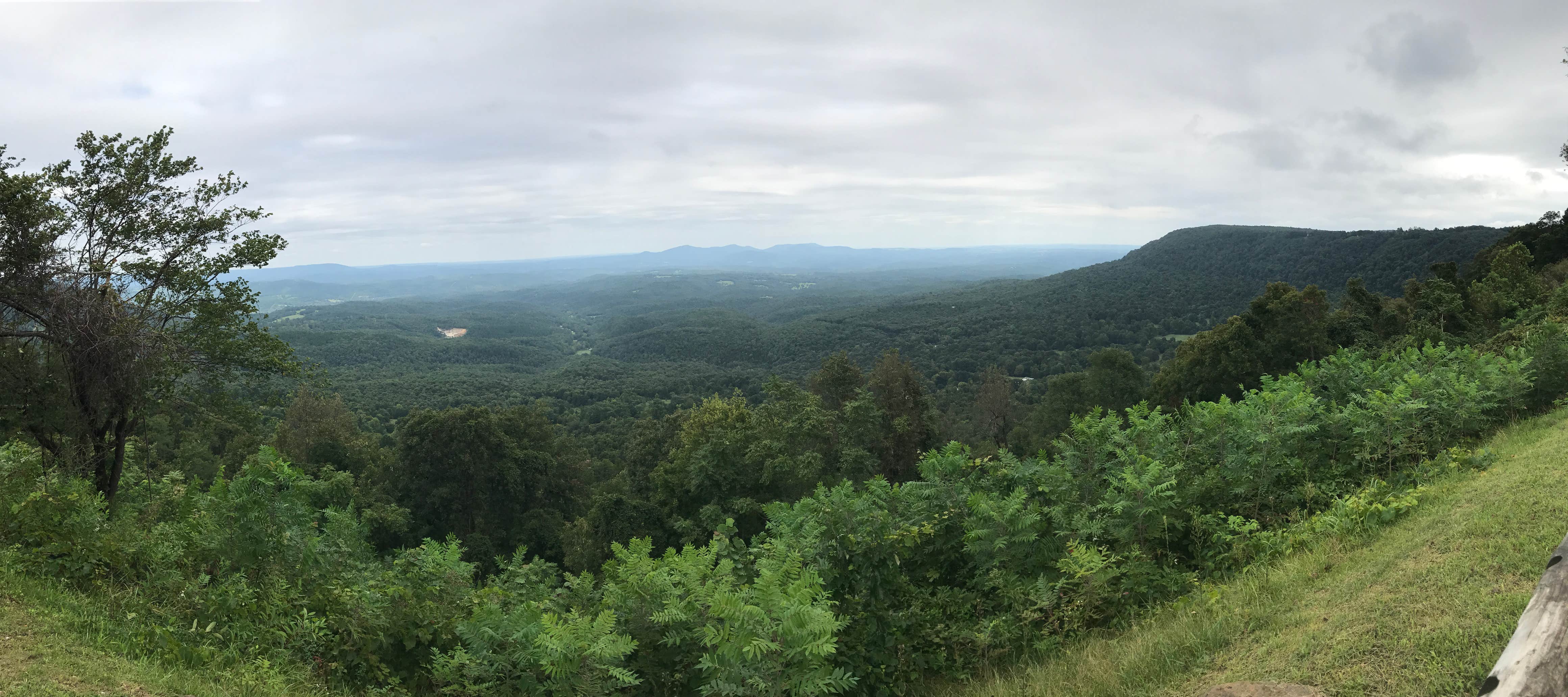 Dogwood Springs Campground Camping | The Dyrt