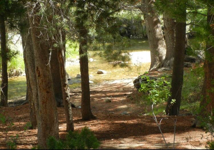 Robinson Creek South Camping | Bridgeport, California