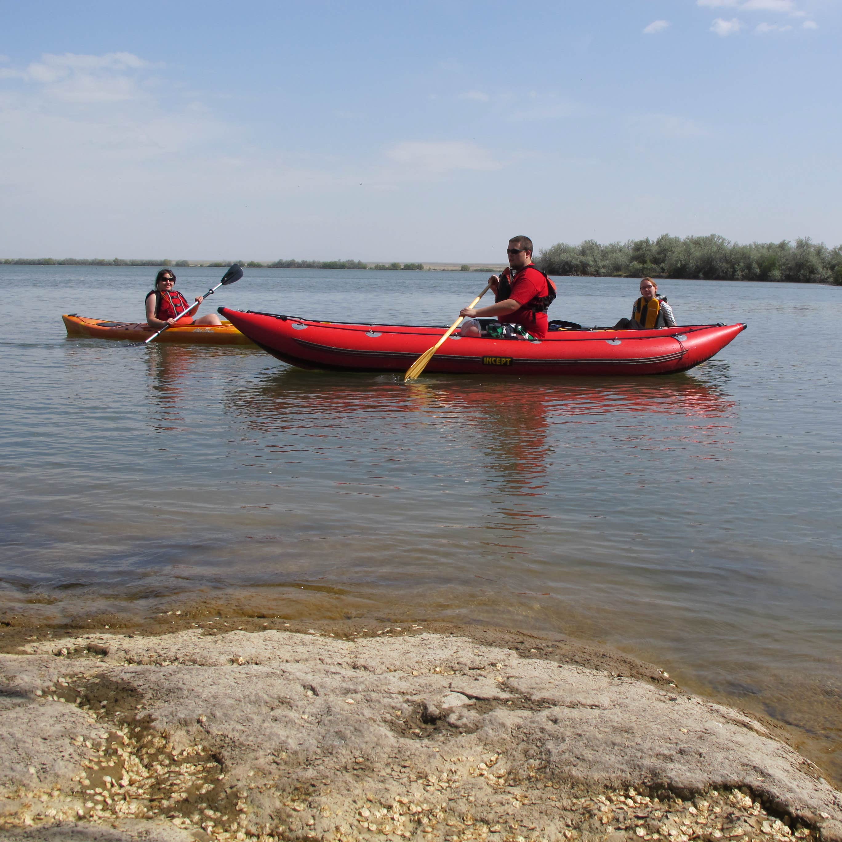 Lake Walcott State Park Camping | The Dyrt