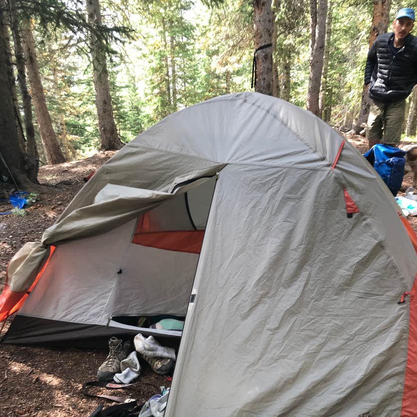 Maroon Bells-Snowmass Wilderness Dispersed Camping Camping | The Dyrt