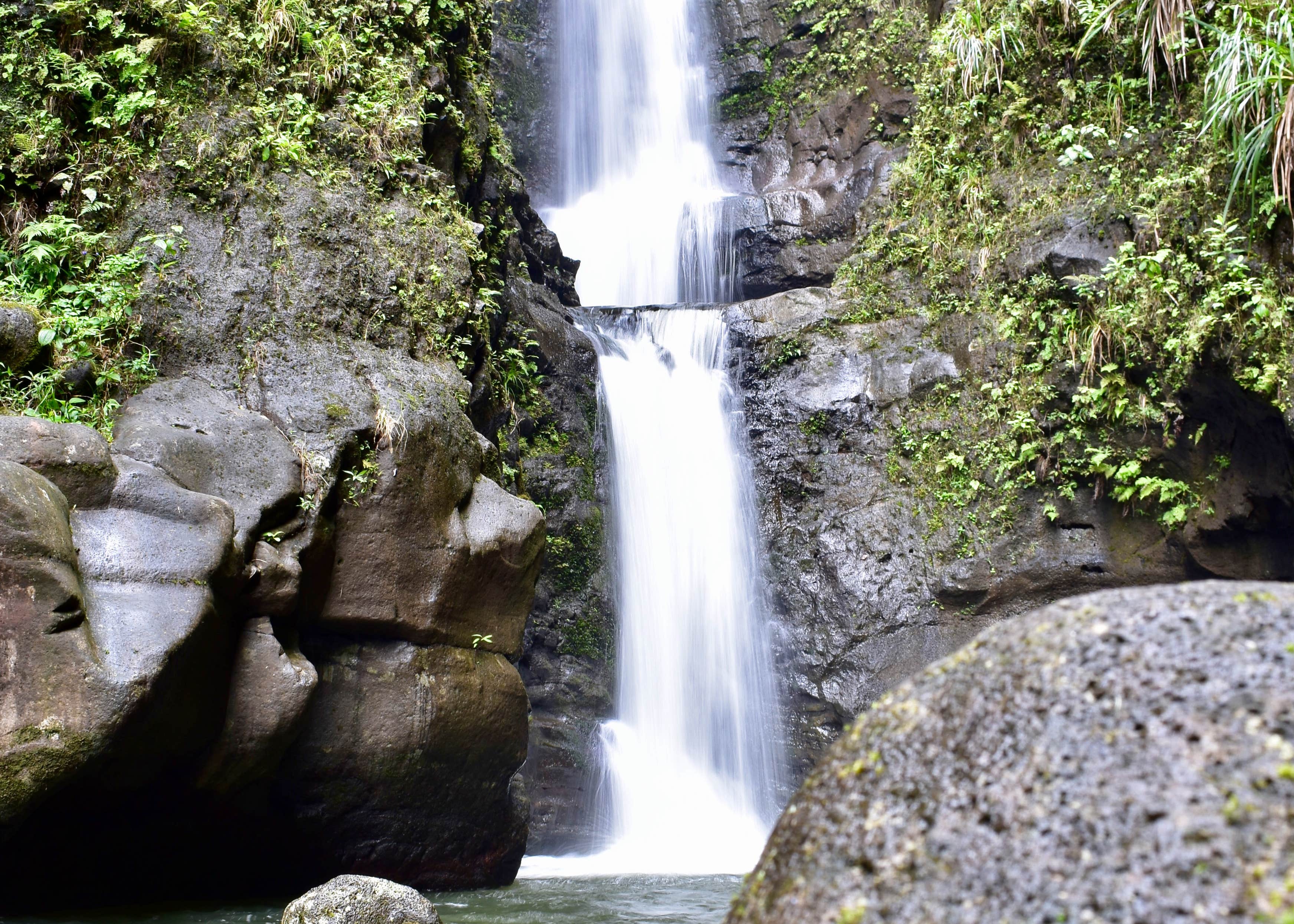 Polipoli Spring State Recreation Area Camping Camping | The Dyrt